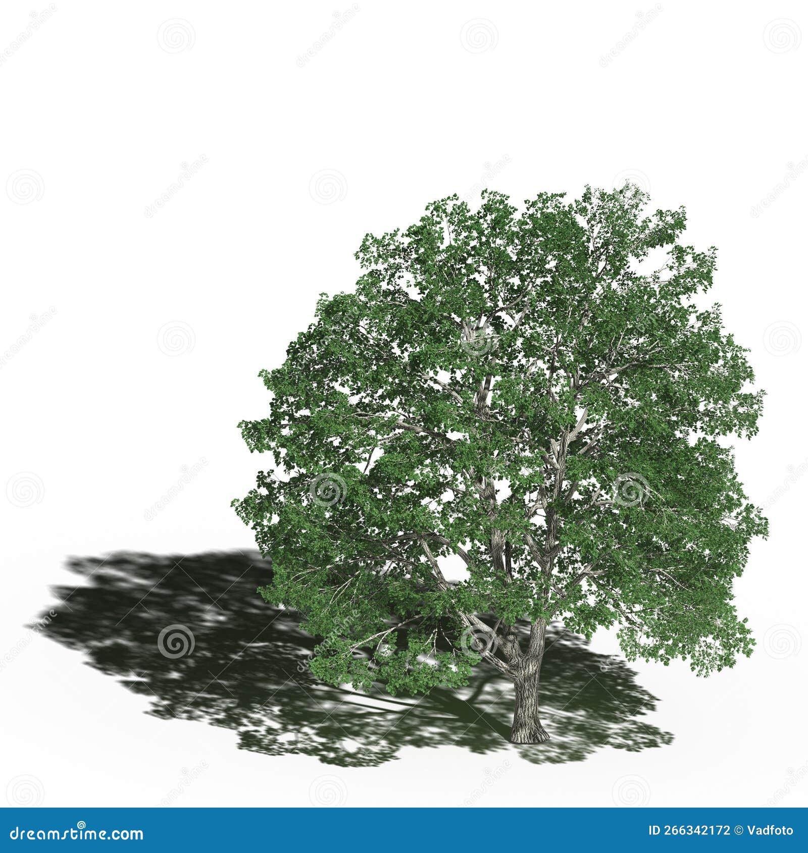 Large Tree with a Shadow Under it Stock Illustration - Illustration of ...