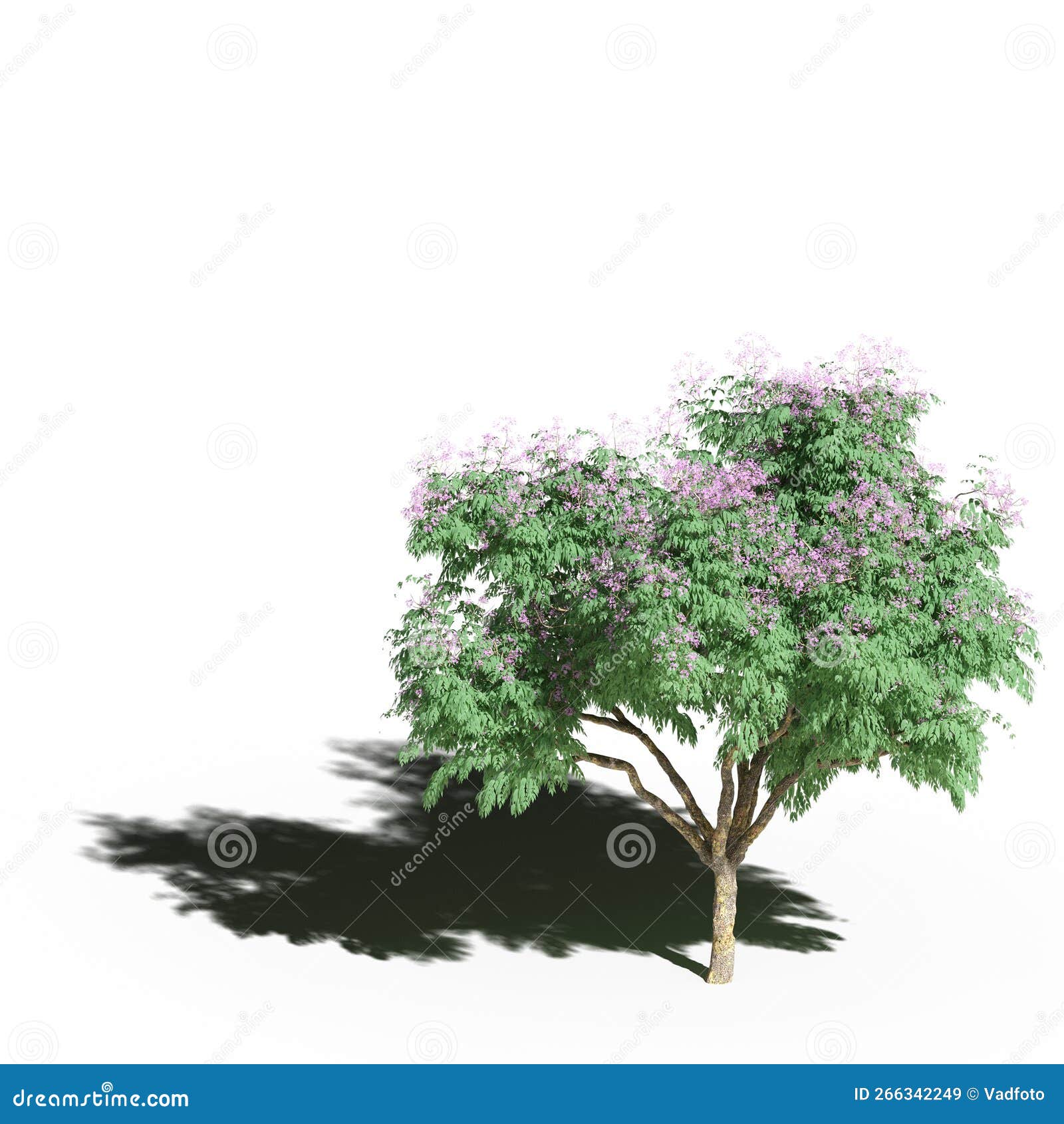 Large Tree with a Shadow Under it Stock Illustration - Illustration of ...