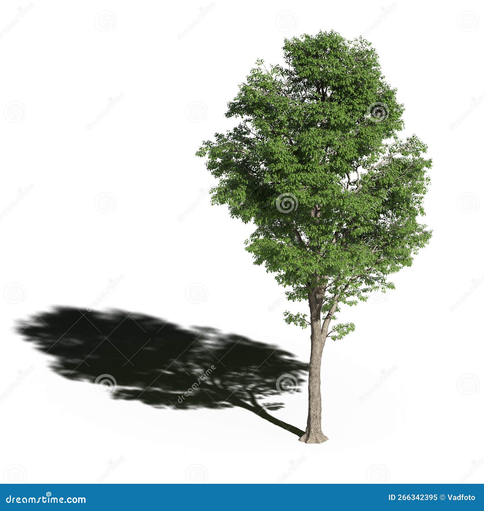 Large Tree with a Shadow Under it Stock Illustration - Illustration of ...