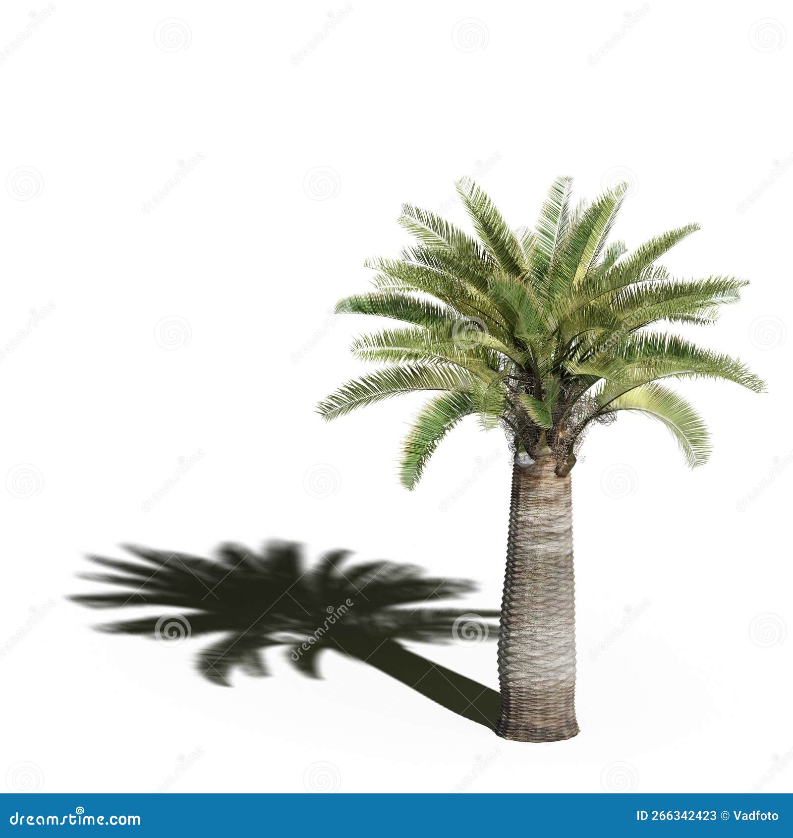 Large Tree with a Shadow Under it Stock Illustration - Illustration of ...