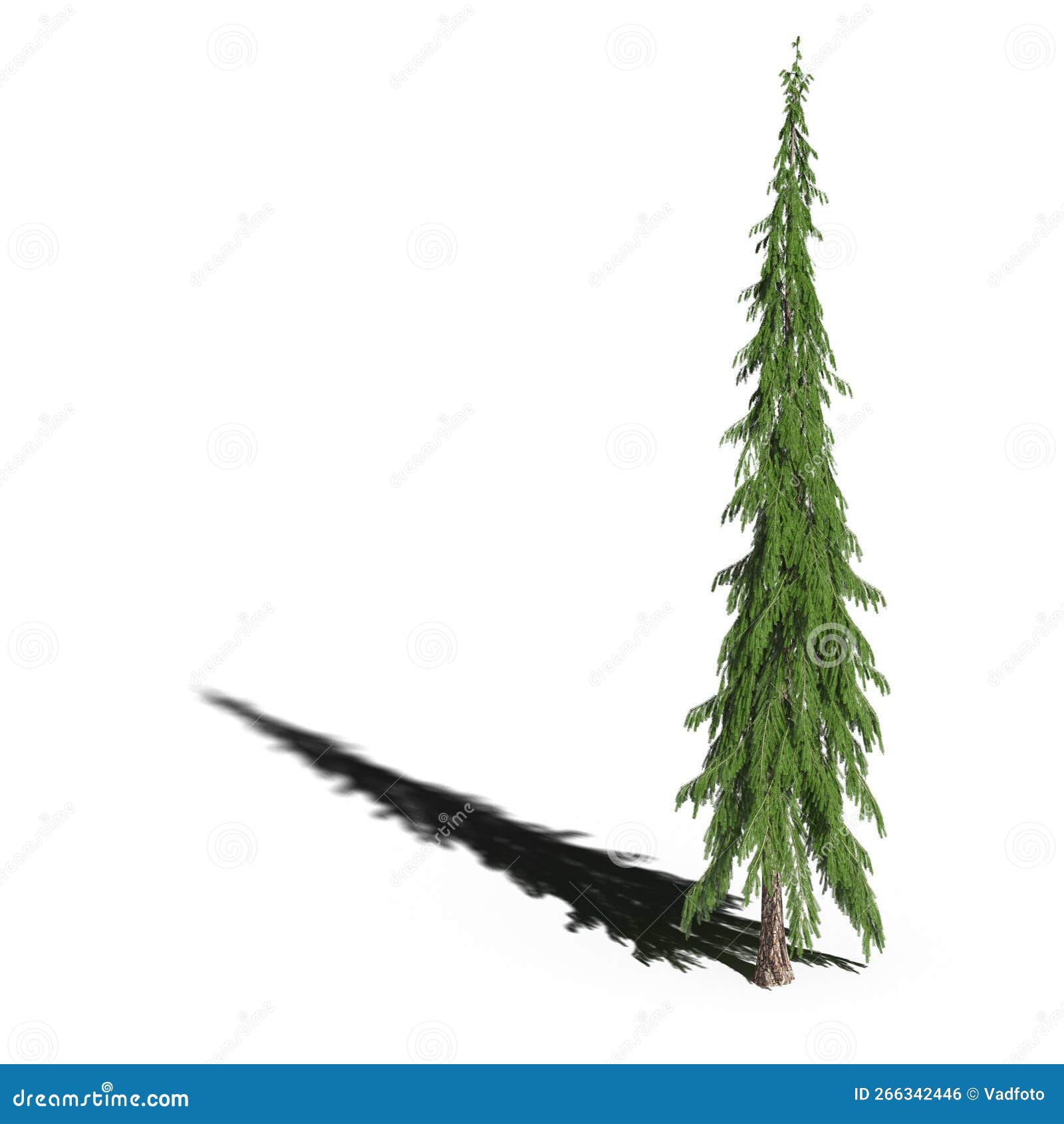 Large Tree with a Shadow Under it Stock Illustration - Illustration of ...