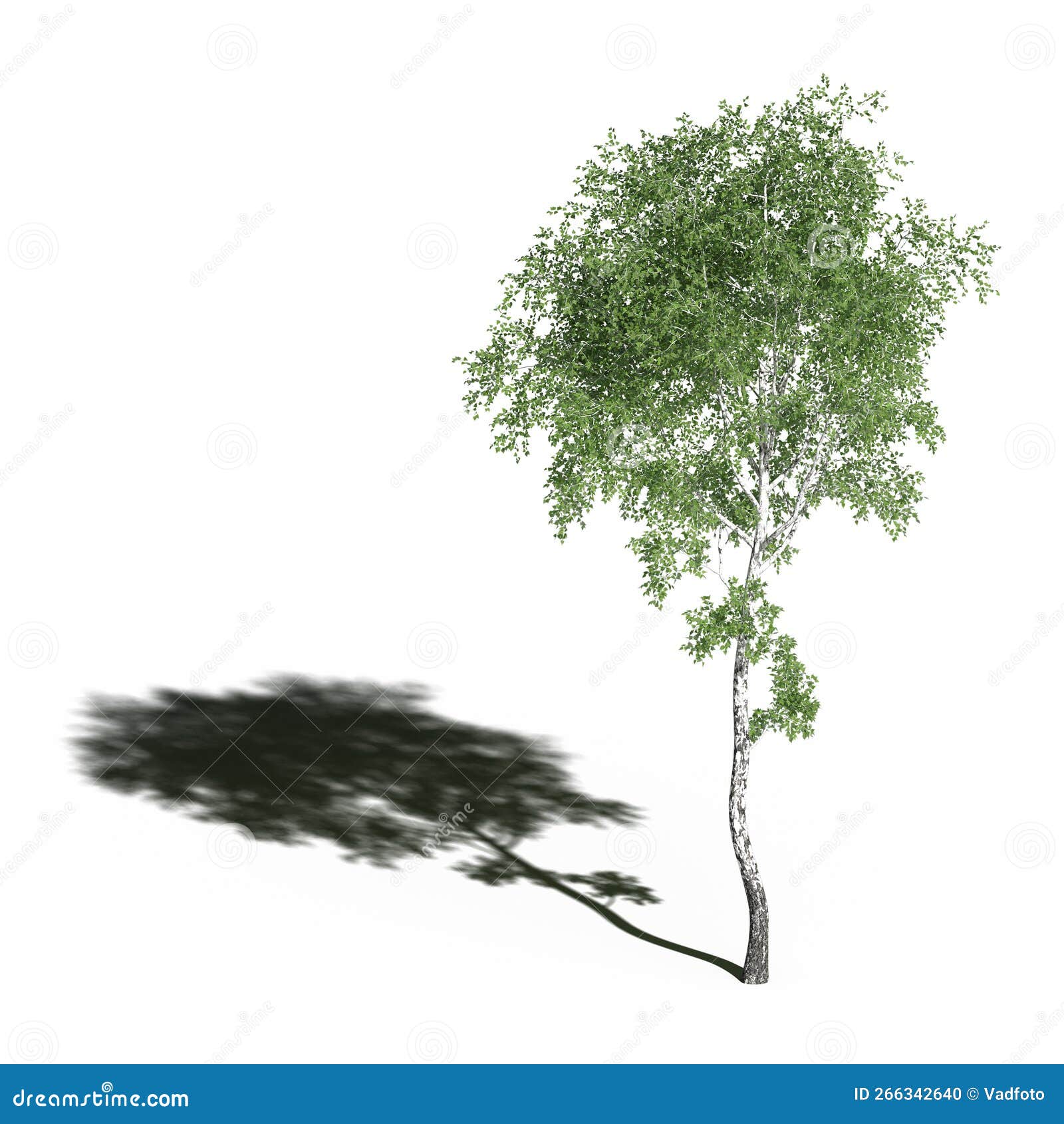 Large Tree with a Shadow Under it Stock Illustration - Illustration of ...