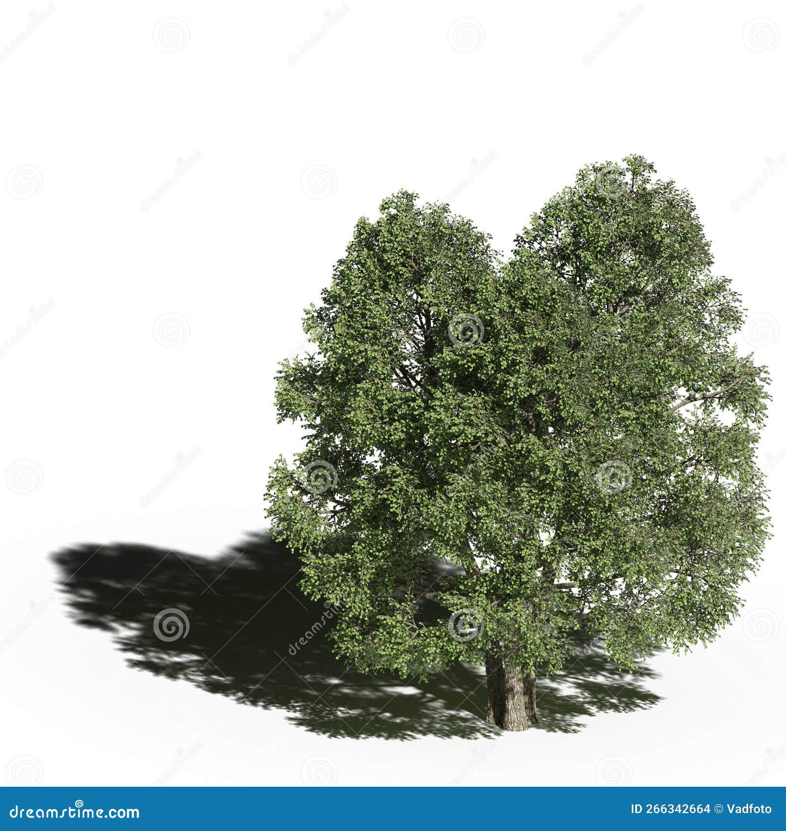 Large Tree with a Shadow Under it Stock Illustration - Illustration of ...
