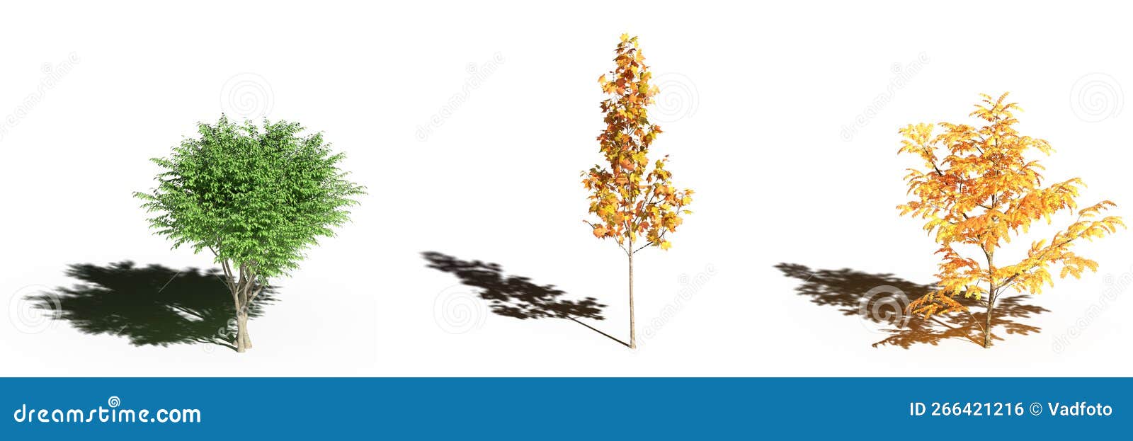 Large Tree with a Shadow Under it Stock Illustration - Illustration of ...