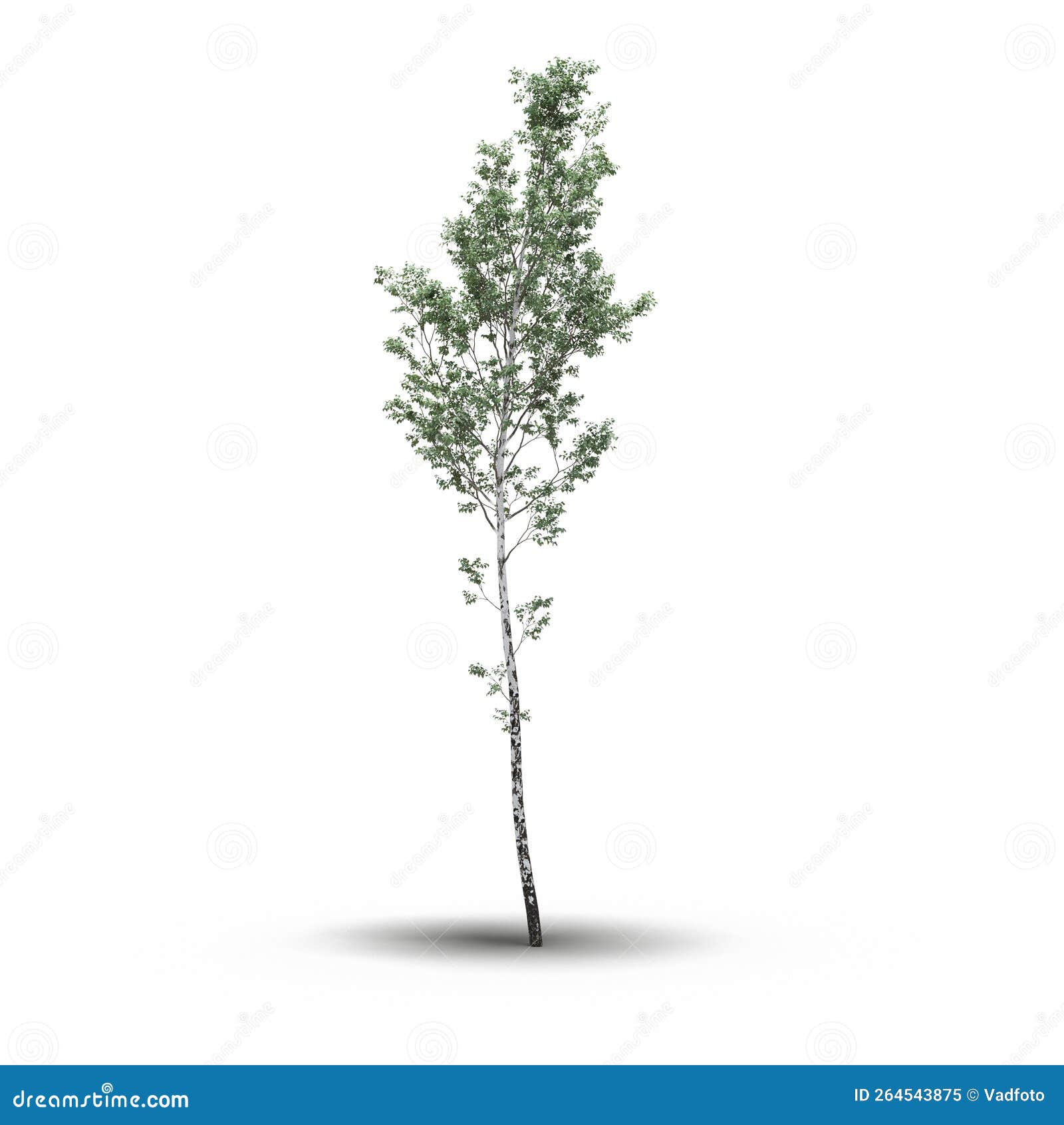 Large Tree with a Shadow Under it Stock Illustration - Illustration of ...