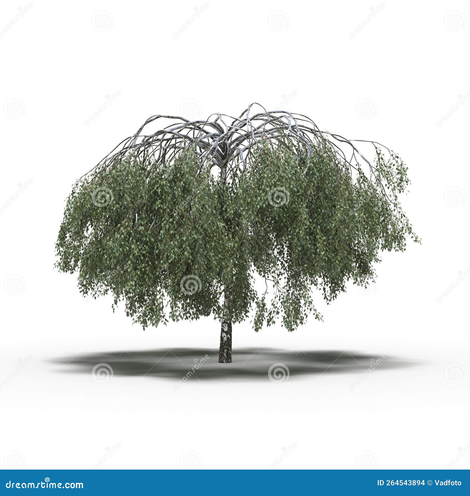 Large Tree with a Shadow Under it Stock Illustration - Illustration of ...
