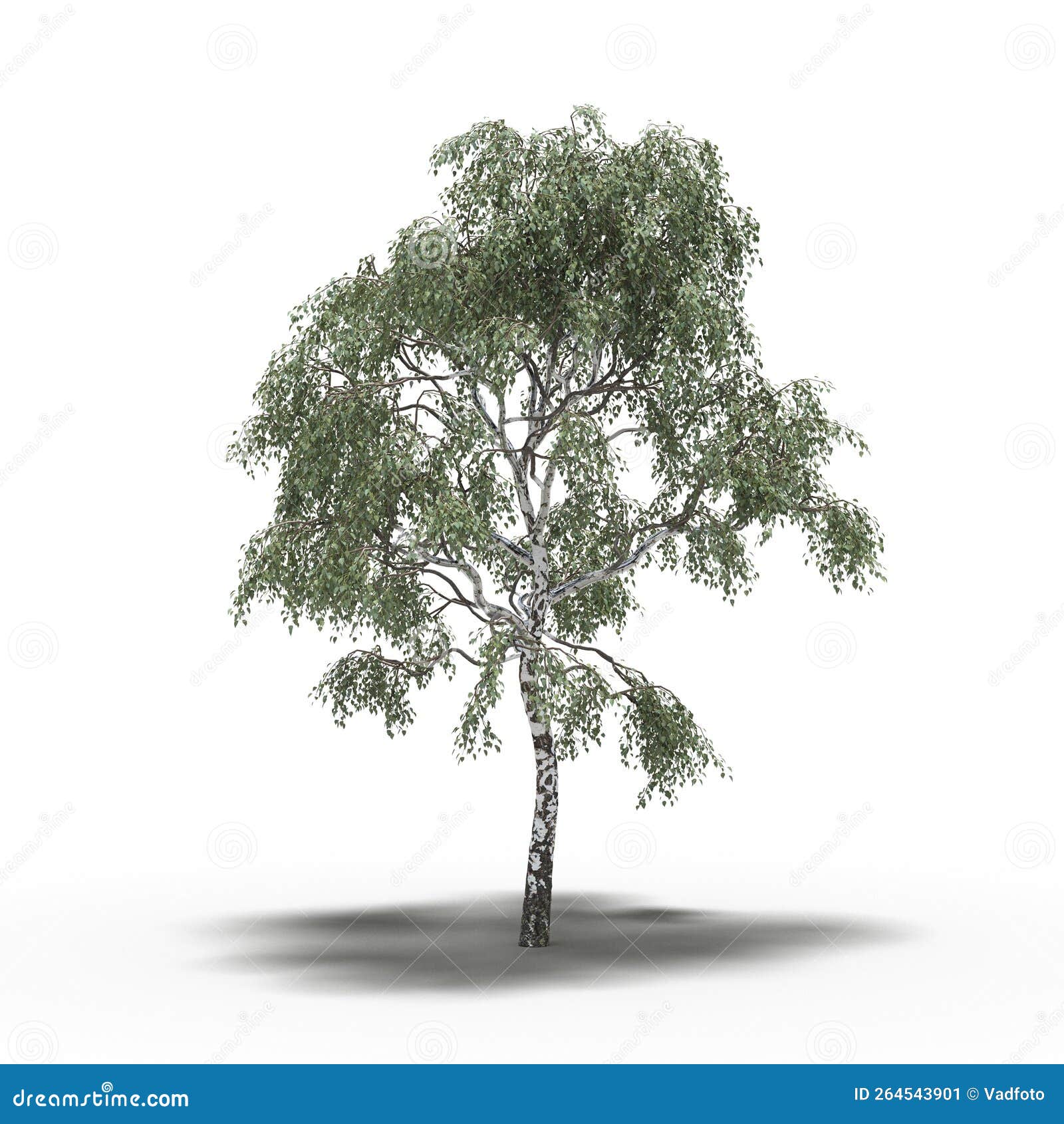 Large Tree with a Shadow Under it Stock Illustration - Illustration of ...
