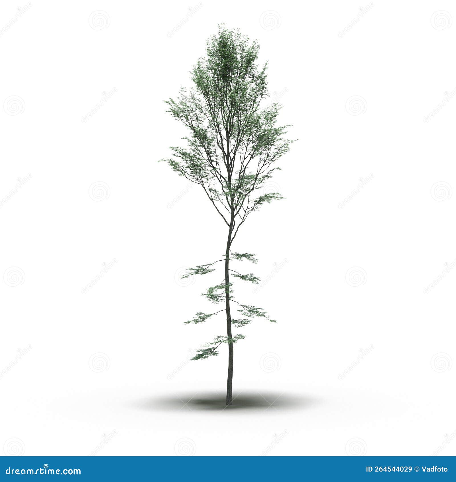 Large Tree with a Shadow Under it Stock Illustration - Illustration of ...