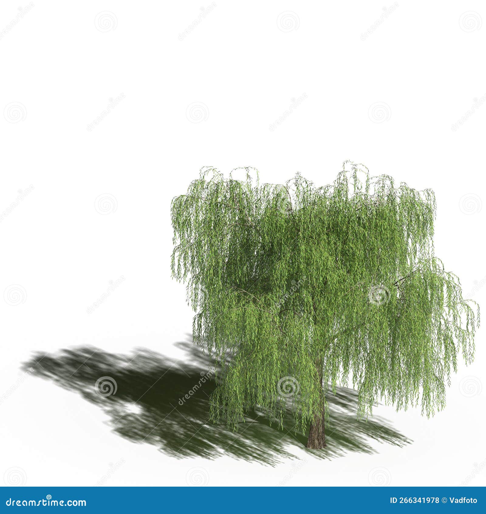 Large Tree with a Shadow Under it Stock Illustration - Illustration of ...