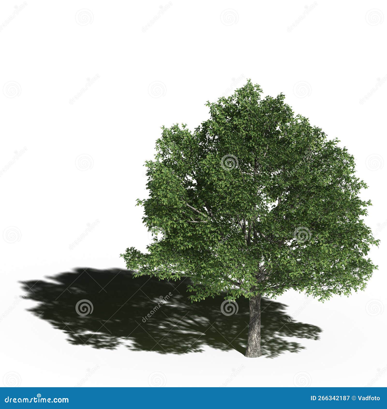 Large Tree with a Shadow Under it Stock Illustration - Illustration of ...