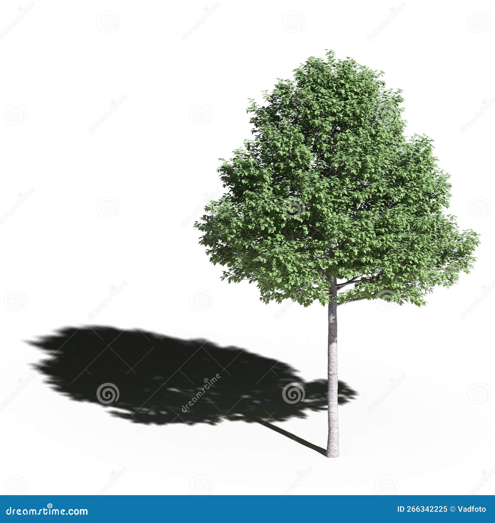 Large Tree with a Shadow Under it Stock Illustration - Illustration of ...