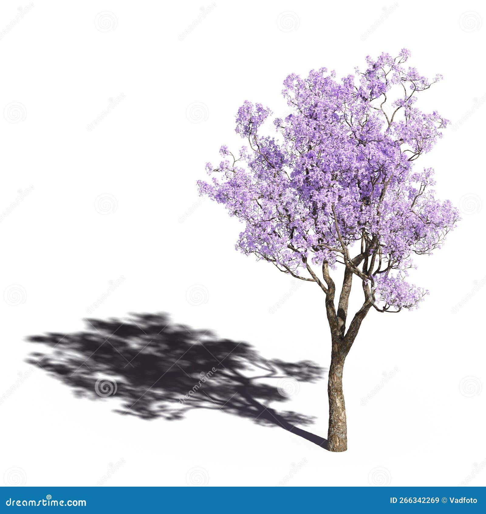Large Tree with a Shadow Under it Stock Illustration - Illustration of ...
