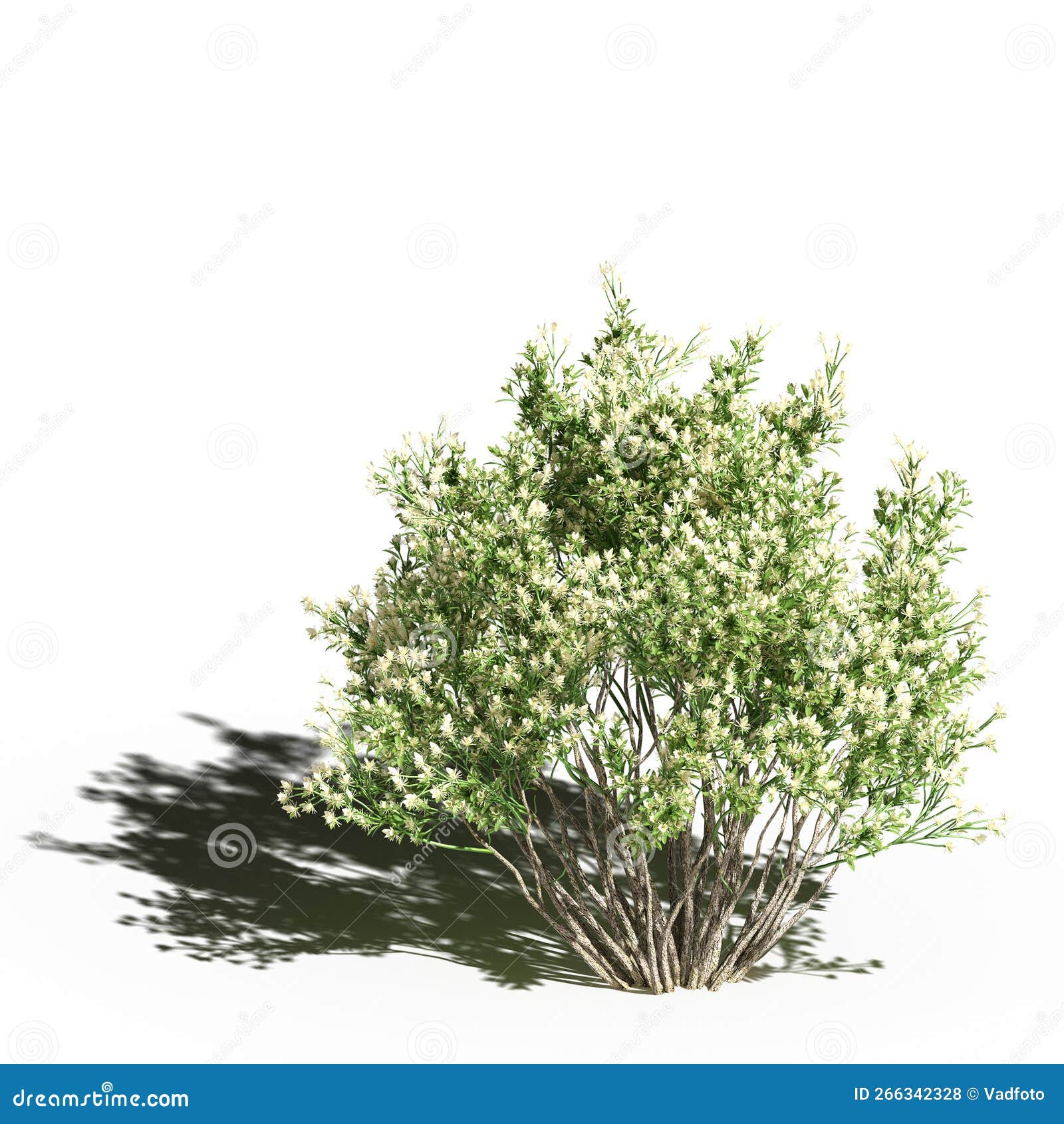Large Tree with a Shadow Under it Stock Illustration - Illustration of ...