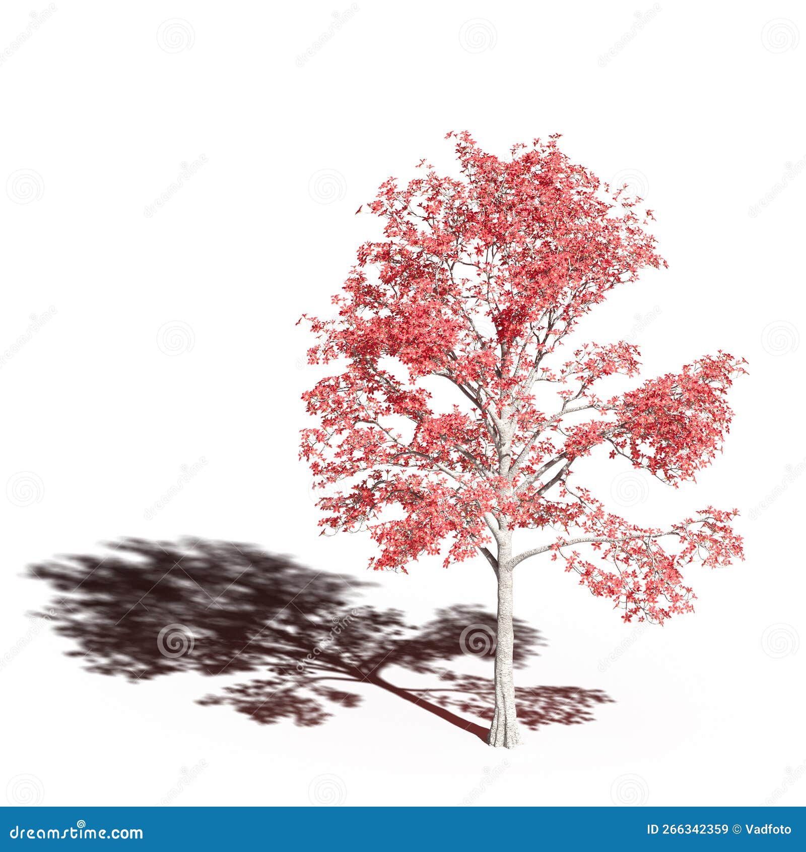 Large Tree with a Shadow Under it Stock Illustration - Illustration of ...