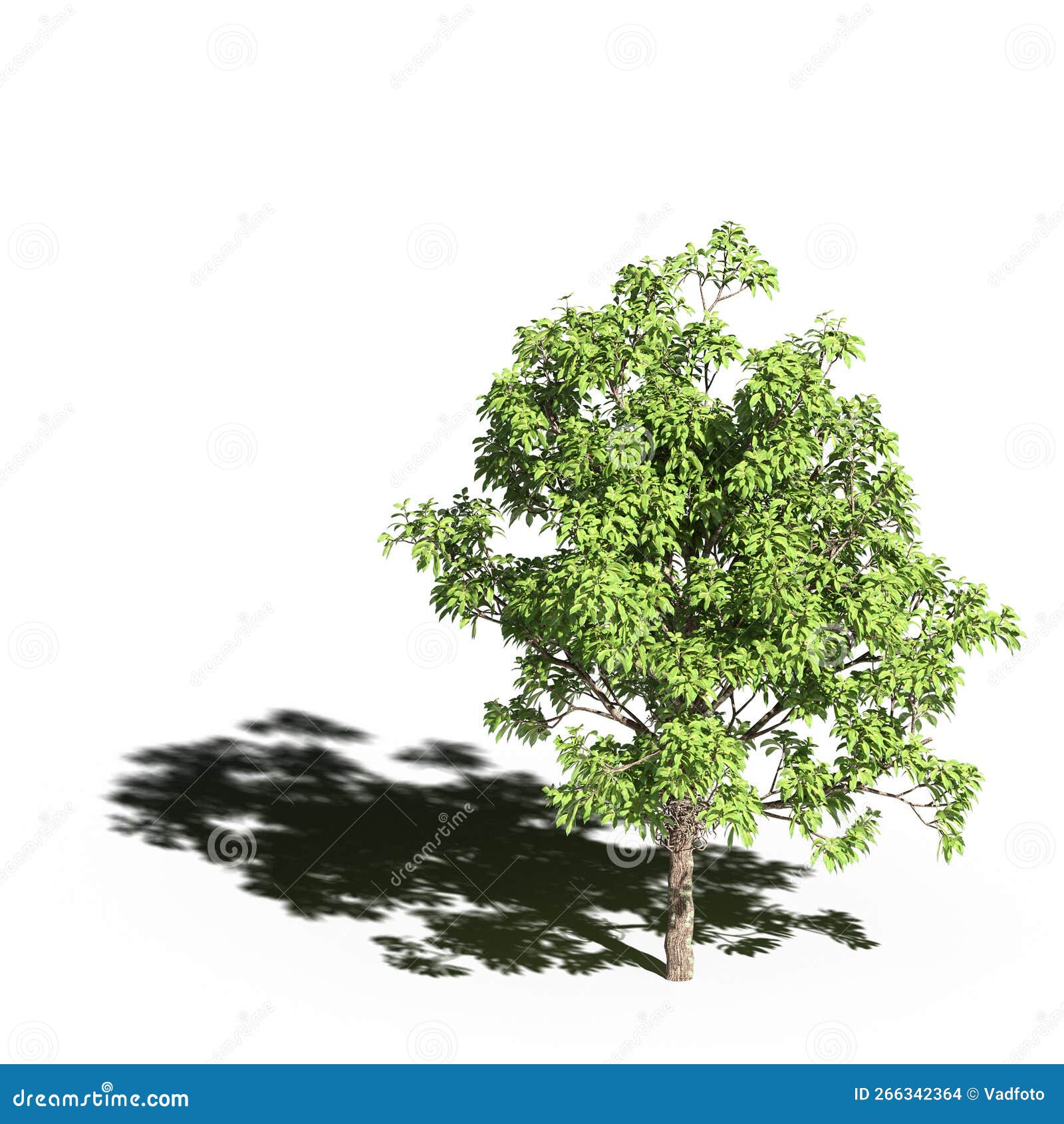 Large Tree with a Shadow Under it Stock Illustration - Illustration of ...