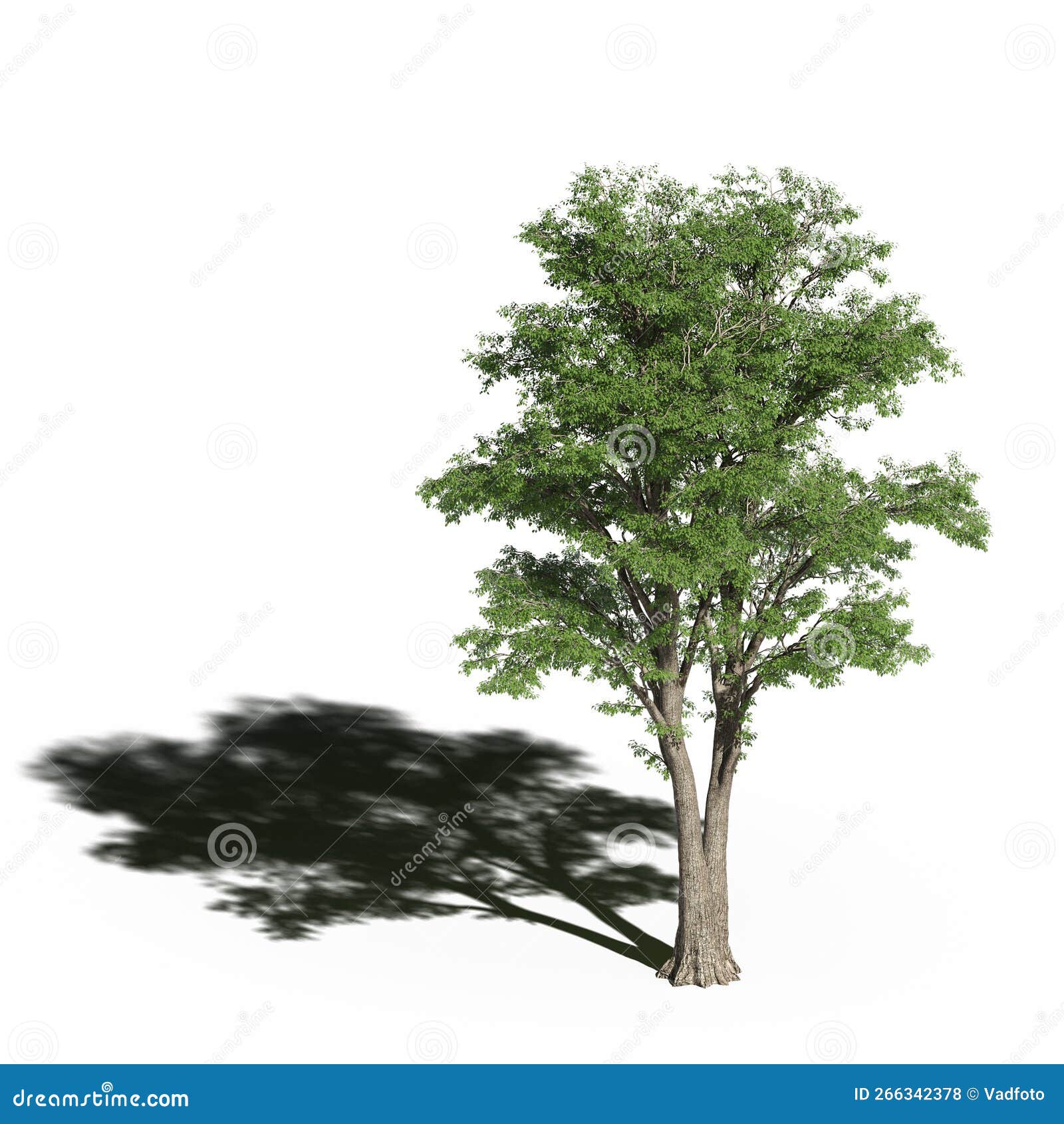Large Tree with a Shadow Under it Stock Illustration - Illustration of ...