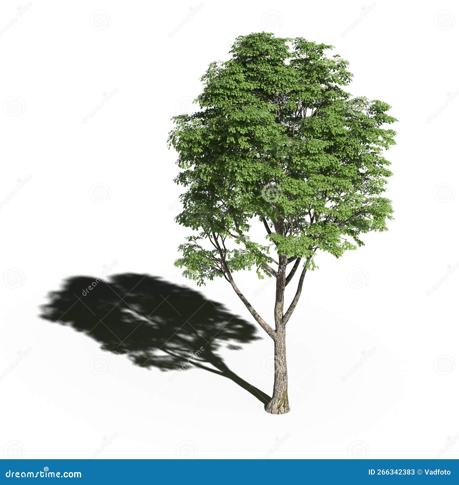 Large Tree with a Shadow Under it Stock Illustration - Illustration of ...