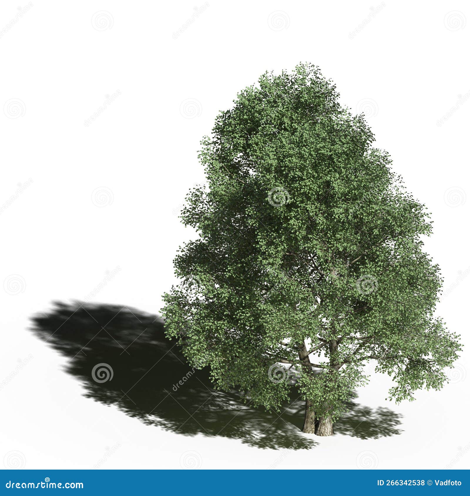 Large Tree with a Shadow Under it Stock Illustration - Illustration of ...