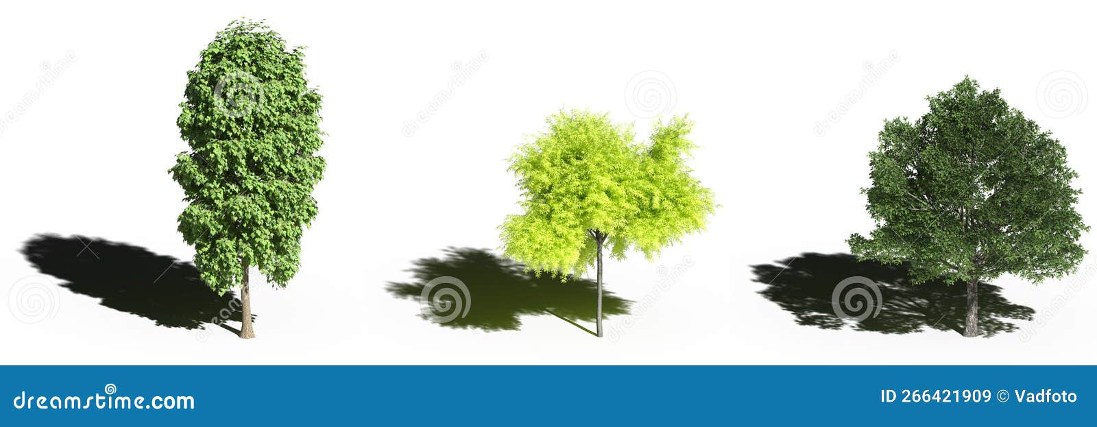 Large Tree with a Shadow Under it Stock Illustration - Illustration of ...