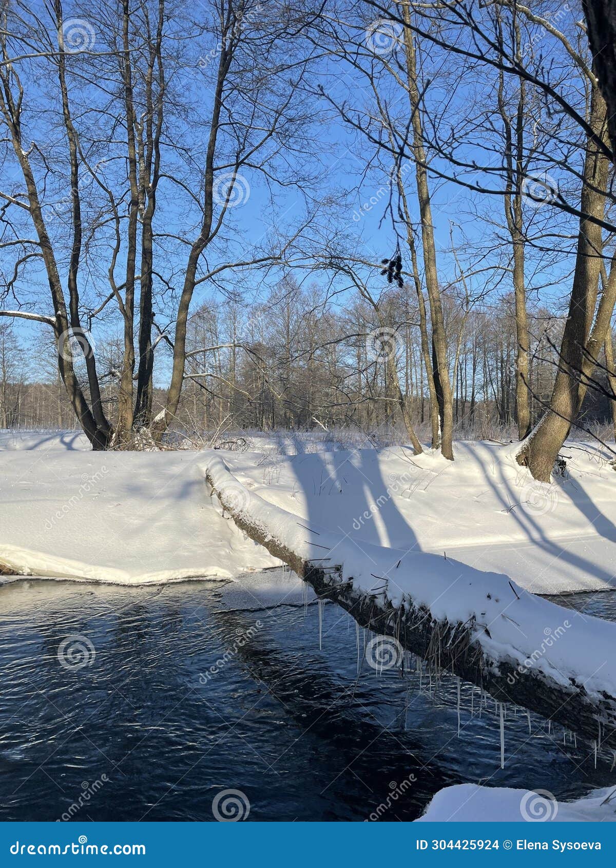 A Large Tree Thrown Across the River with Icicles Stock Photo - Image ...