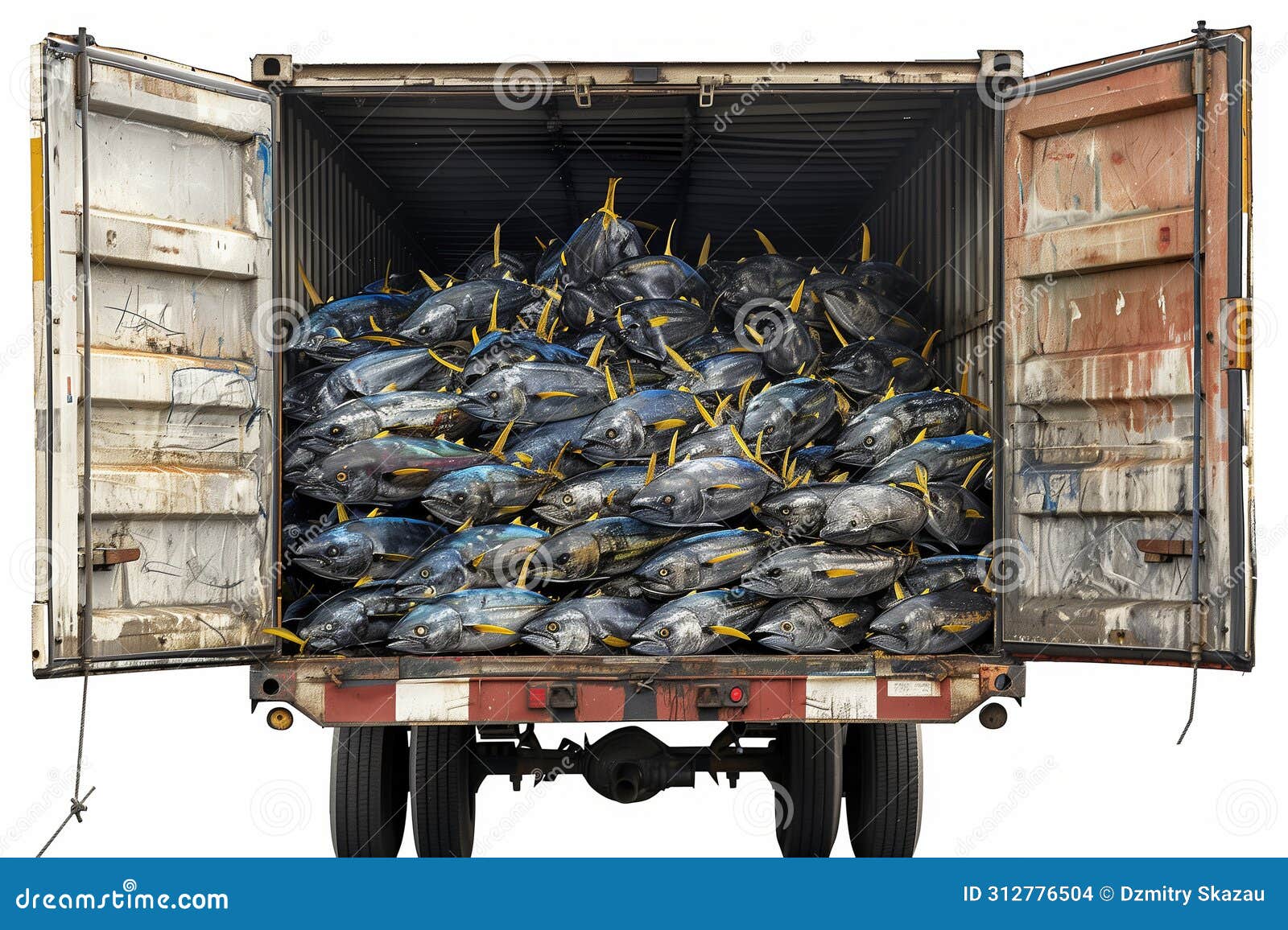 A Large Truck is Seen Loaded with a Bunch of Fish, Ready To Be ...