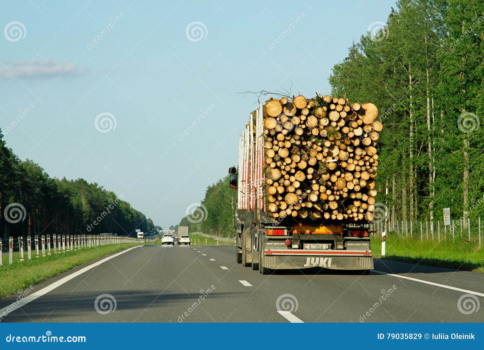 Large Truck Transporting Wood on the Highway Belarus Editorial Stock ...