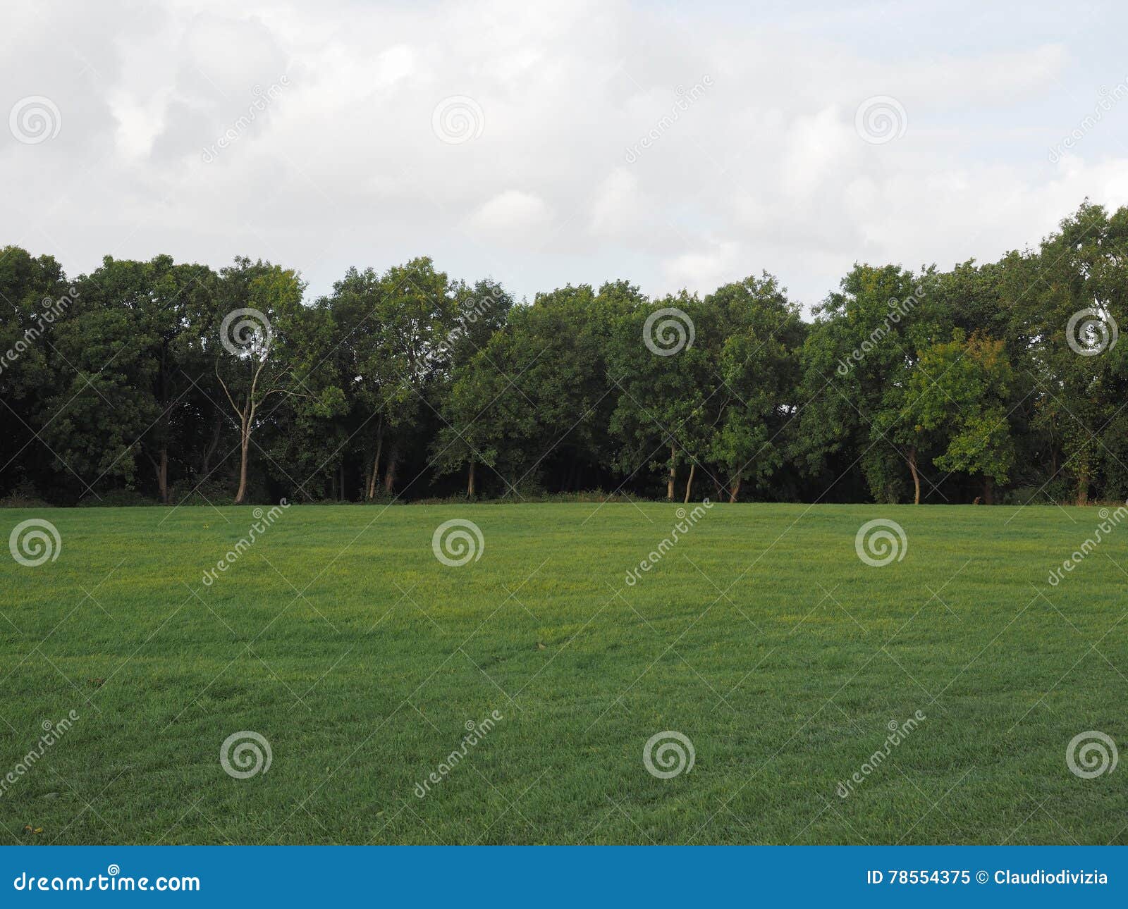 Large urban park stock image. Image of green, background - 78554375