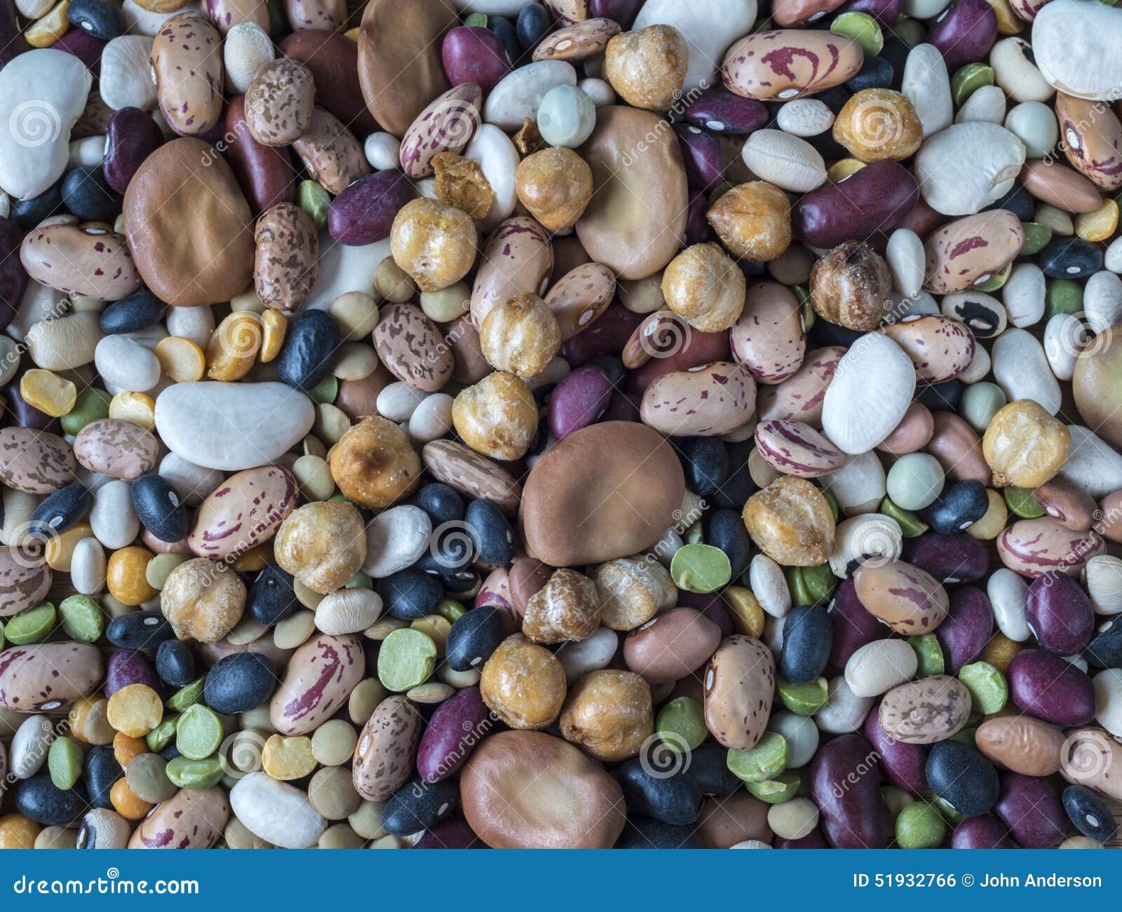 Large variety of beans stock photo. Image of arrangement - 51932766