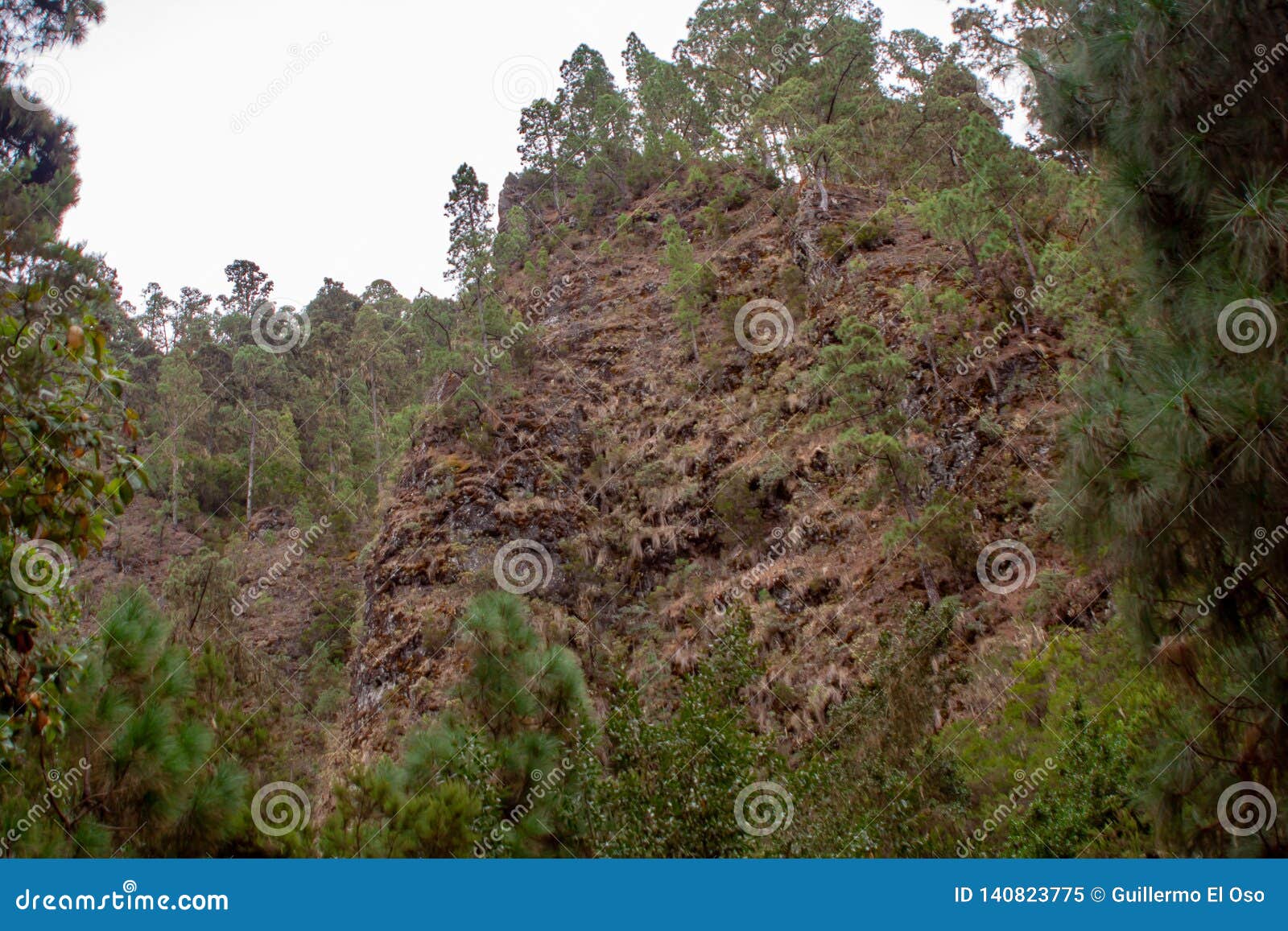 Large View Over a Forest on Rock Formations Stock Image - Image of pine ...