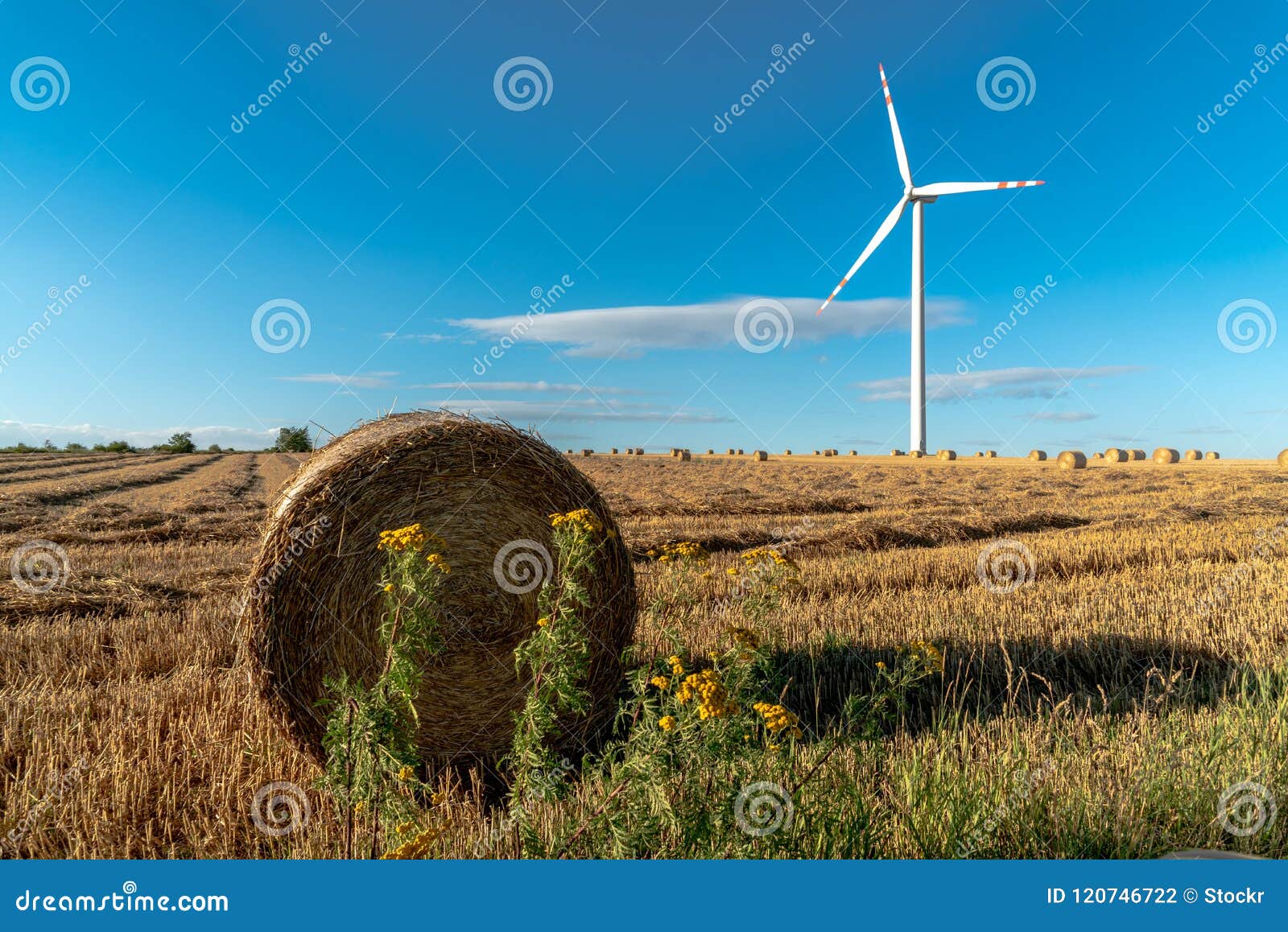 Windmill on the field stock photo. Image of heap, ranch - 120746722