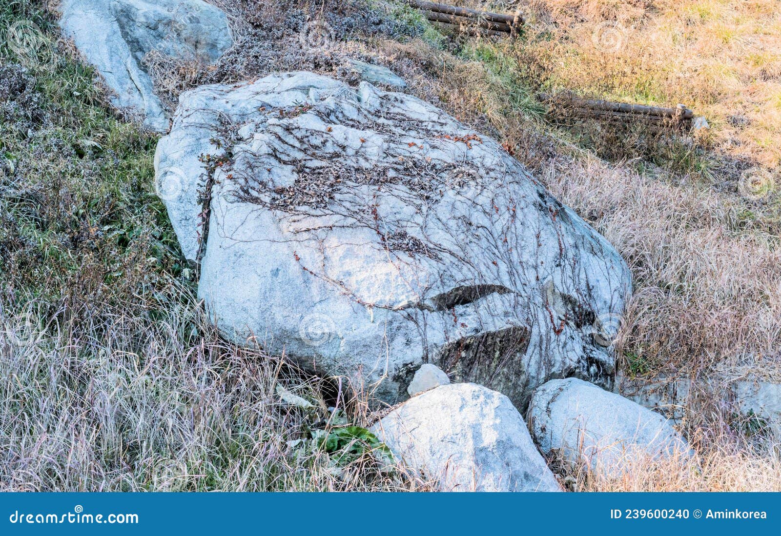 Large Vine Covered Boulders Stock Photo - Image of crumbling, formation ...