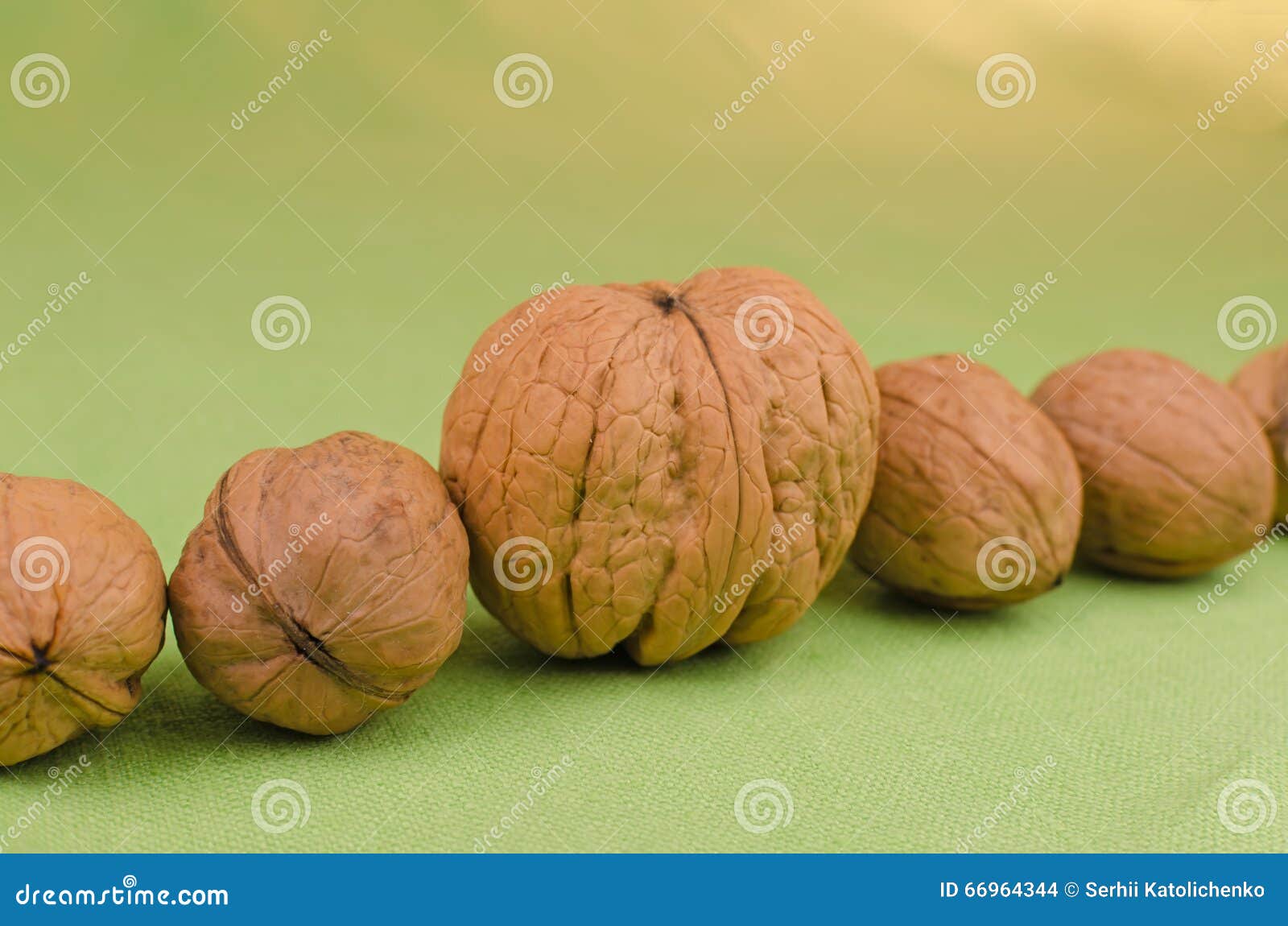 Large Walnut As an Eyecatcher in the Middle of the Small Nuts Stock ...