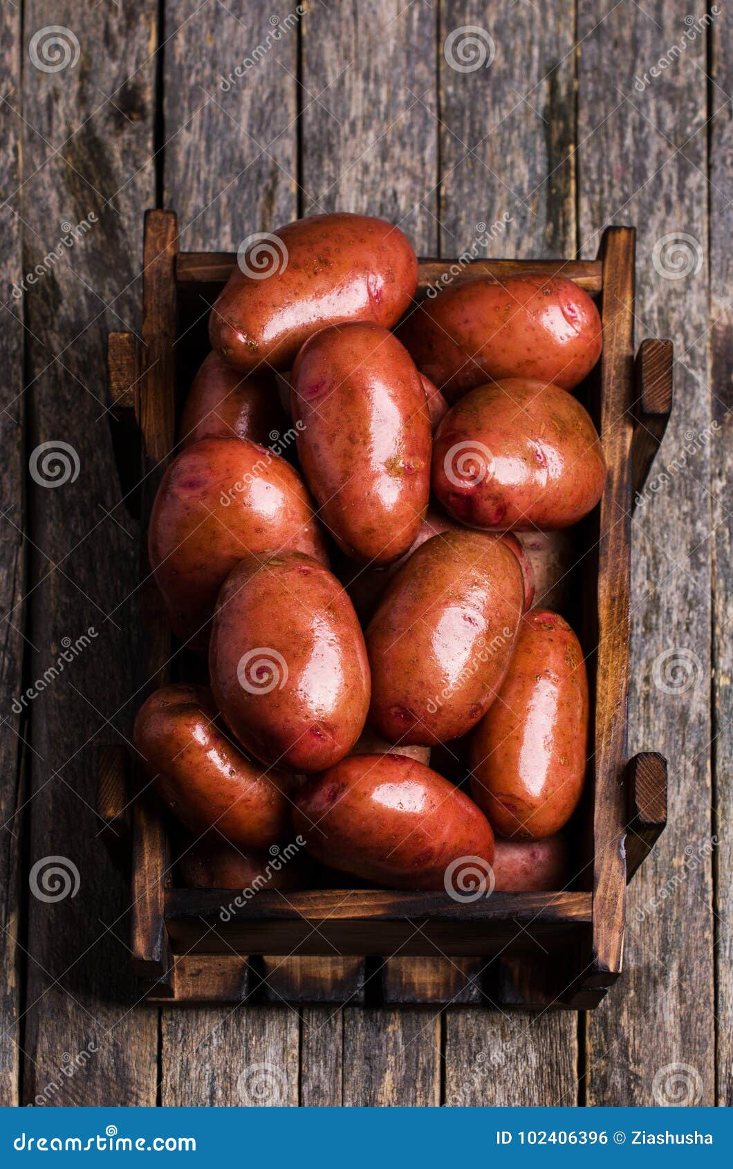 Large washed potatoes stock photo. Image of food, starch - 102406396