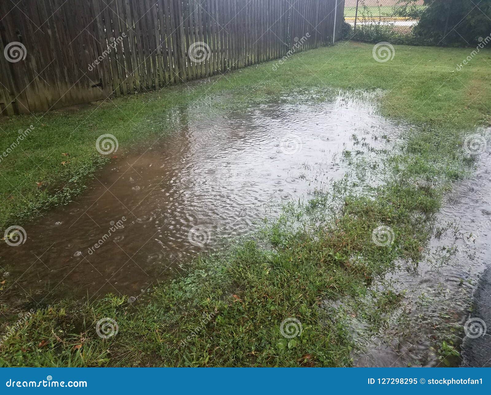 Large Water Puddle with Rain Drops in Green Grass Stock Image - Image ...