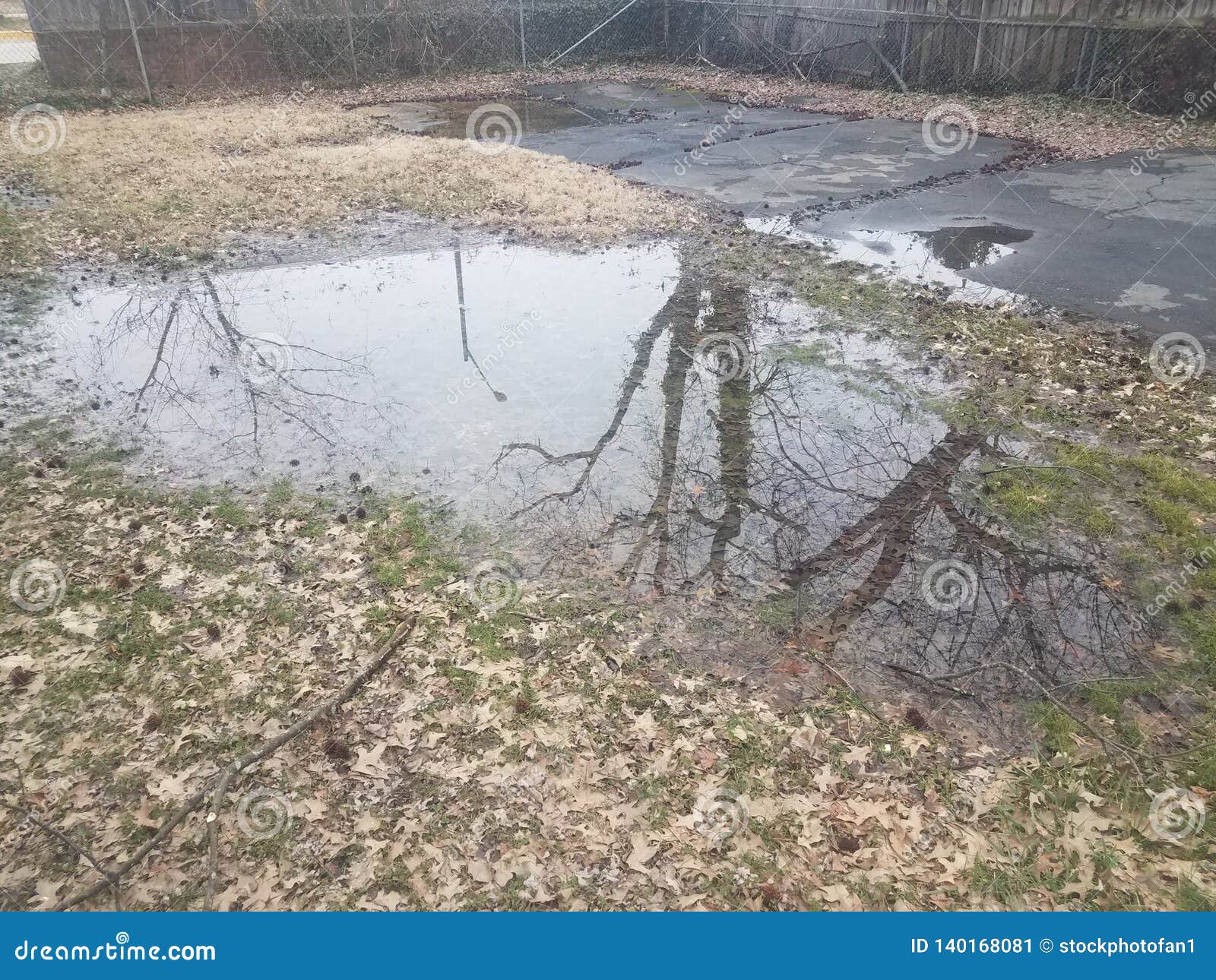 Large Water Puddle with Reflection of Trees in Grass Stock Image ...