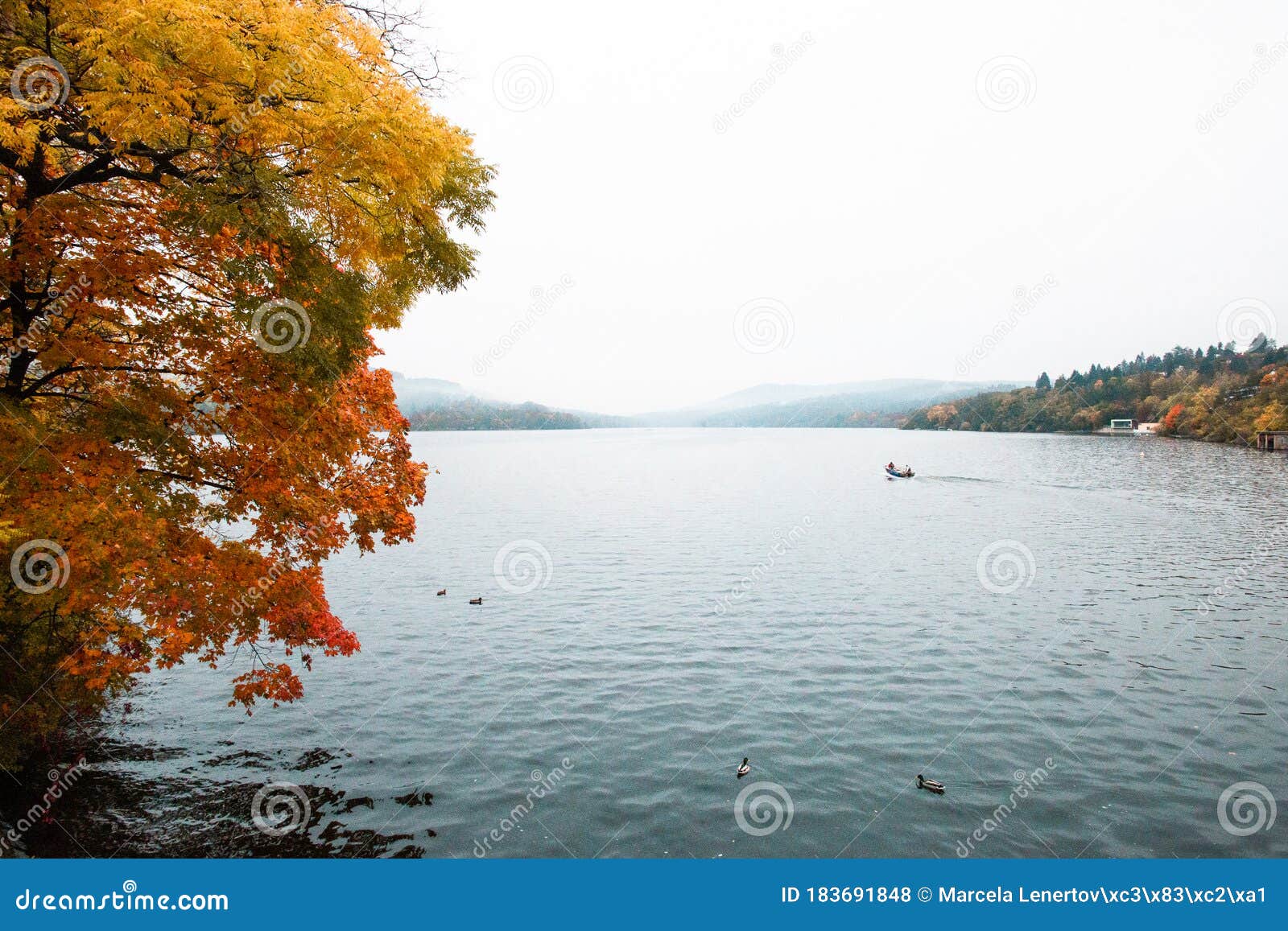 Large Water Reservoir and Autumn Trees Stock Photo - Image of trees ...