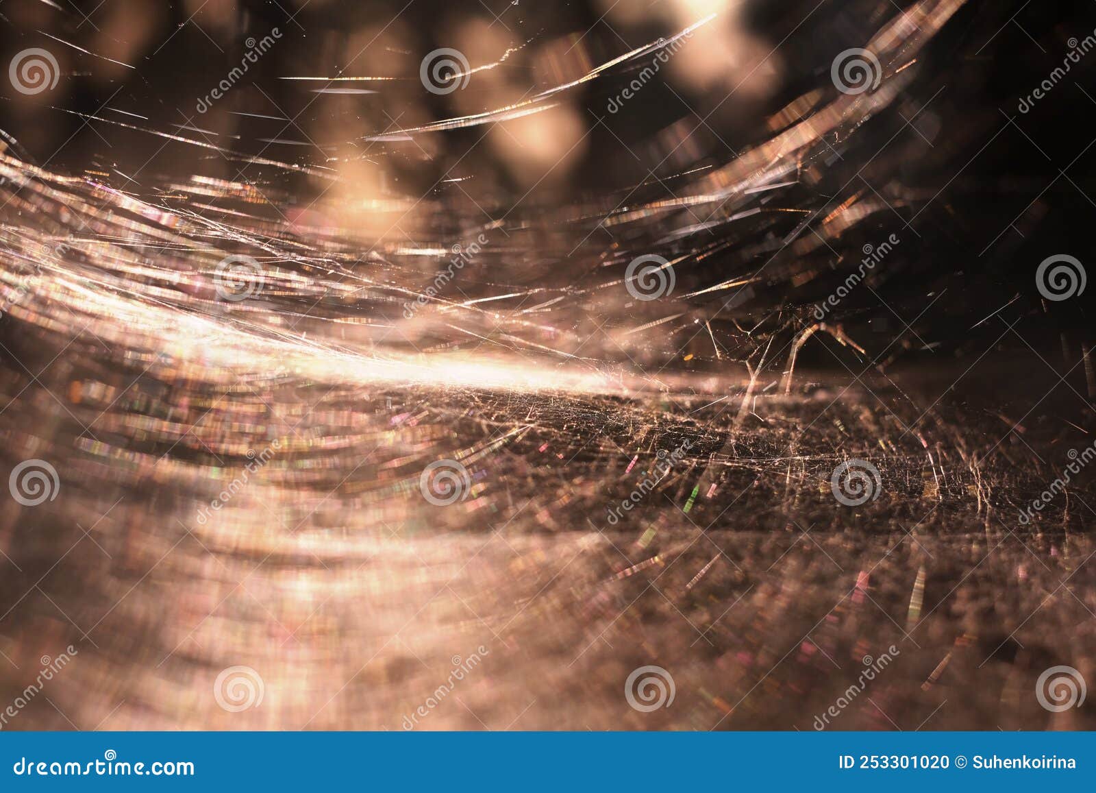 A Large Web is Illuminated by the Setting Sun Close-up Stock Photo ...