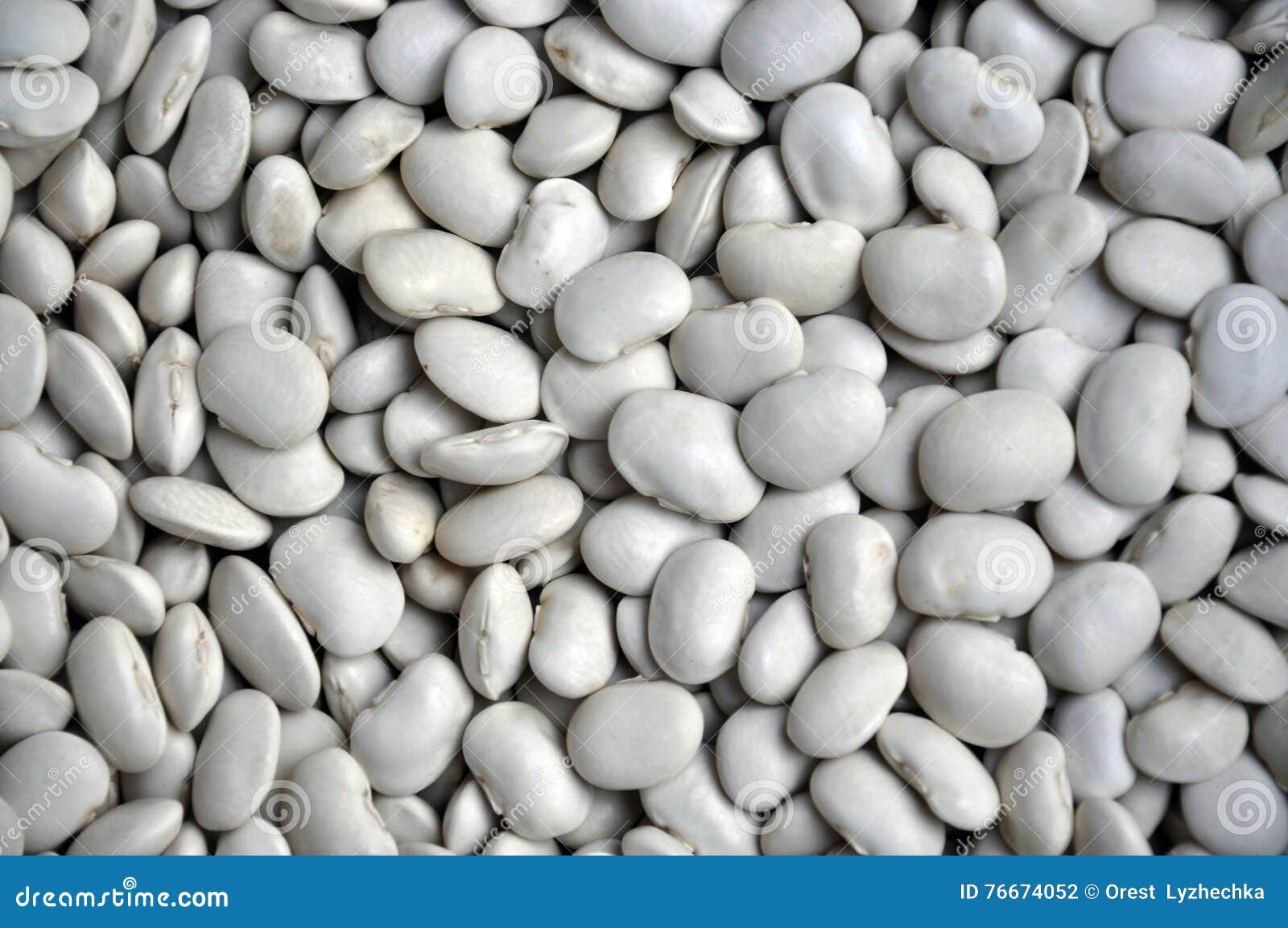 A large white beans_4 stock photo. Image of vitamins - 76674052