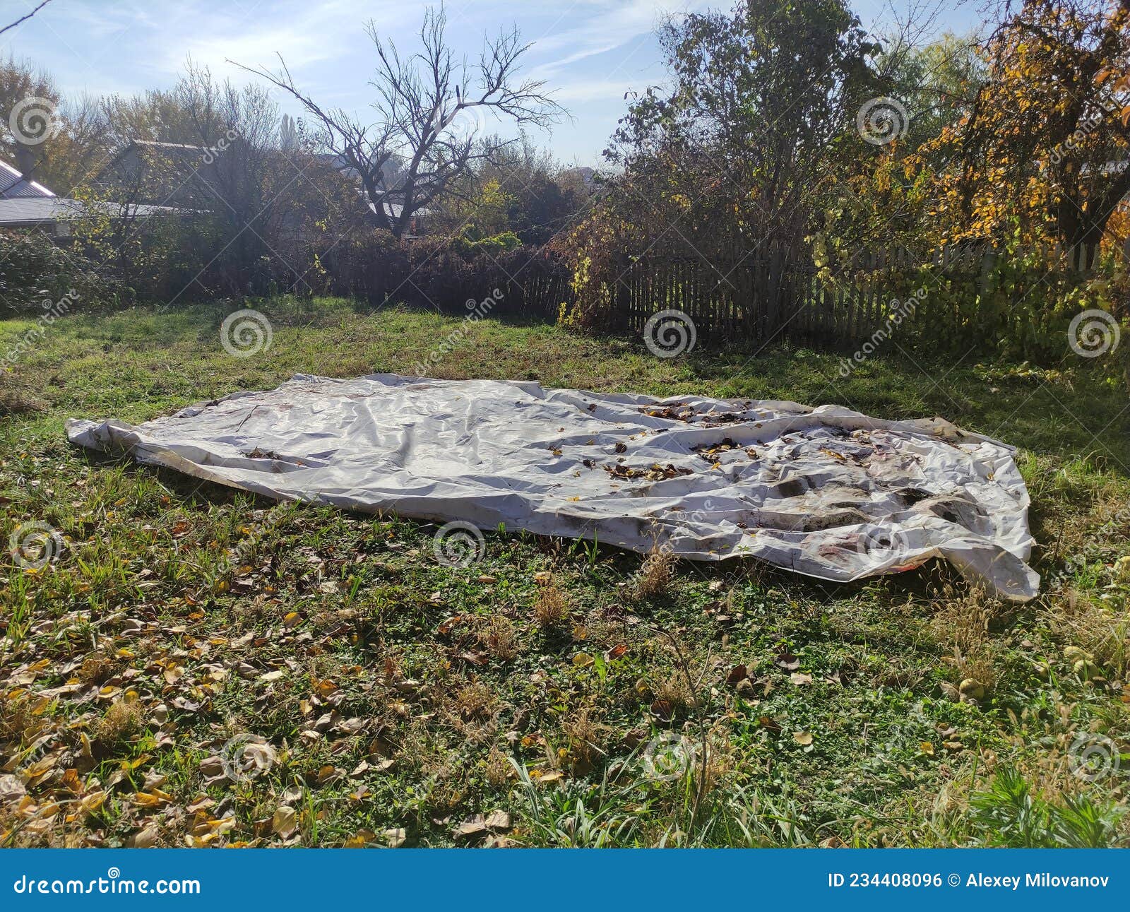 Large White Cloth on the Ground in the Garden Stock Photo - Image of ...