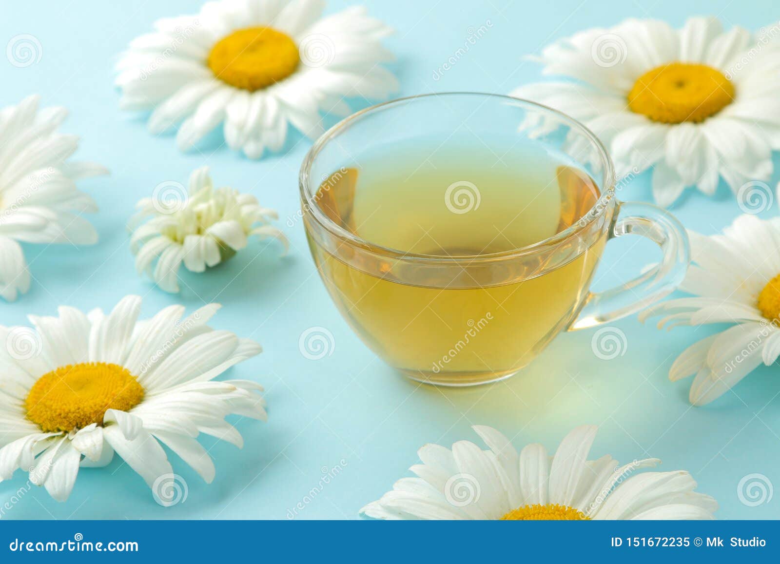 Large White Daisy Flowers and Tea in a Cup on a Gentle Light Blue ...
