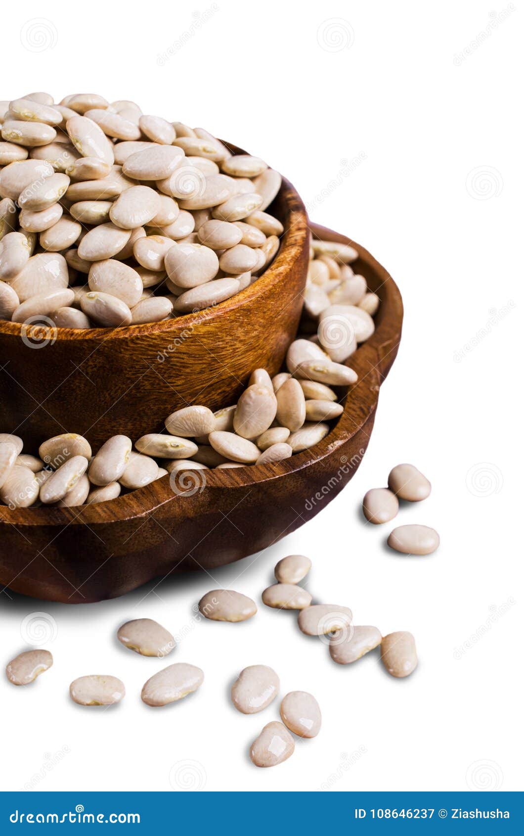 Large white dry beans stock image. Image of farmer, alimentary - 108646237