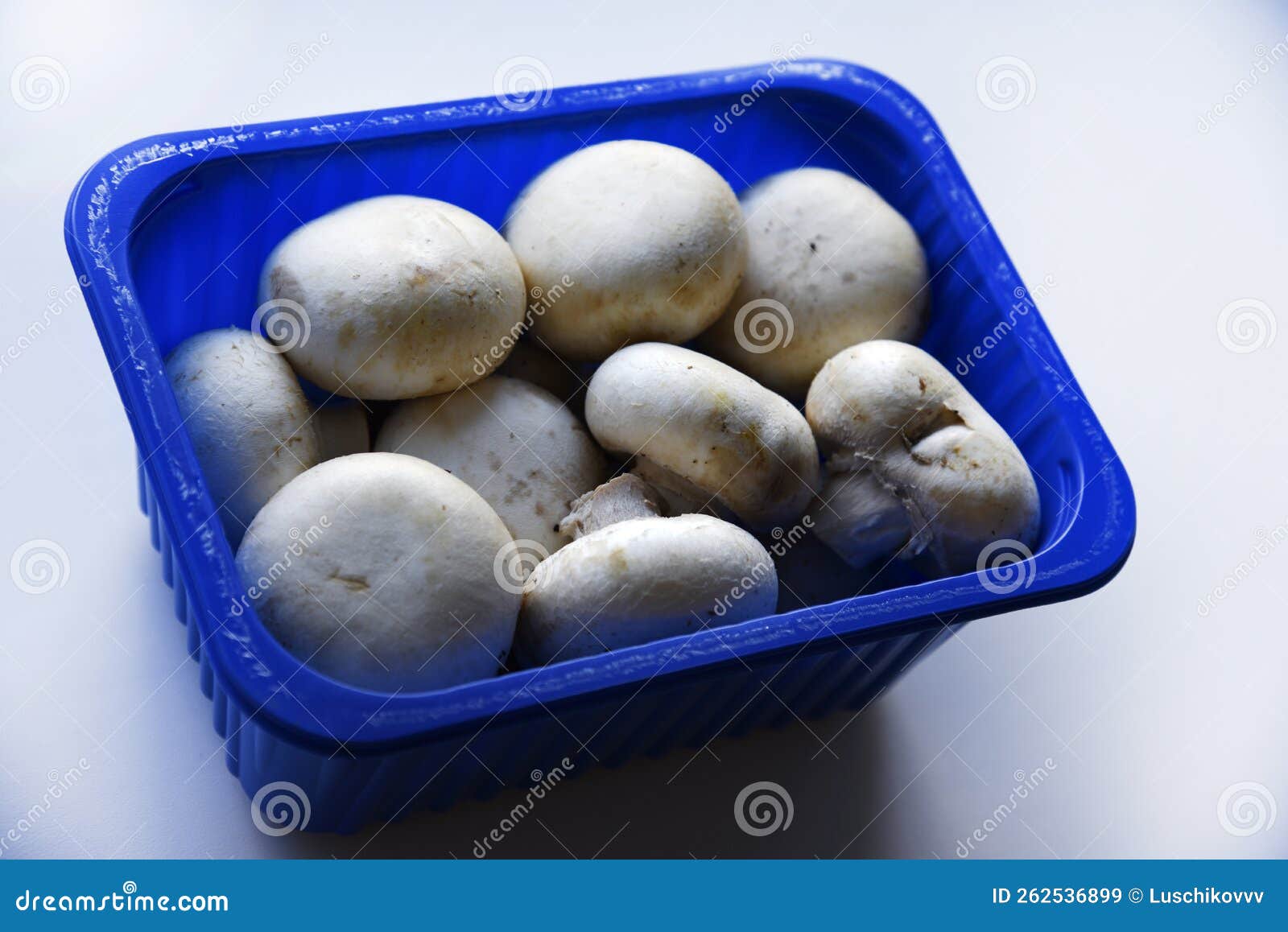 Large White Mushrooms in a Blue Container on a White Background ...