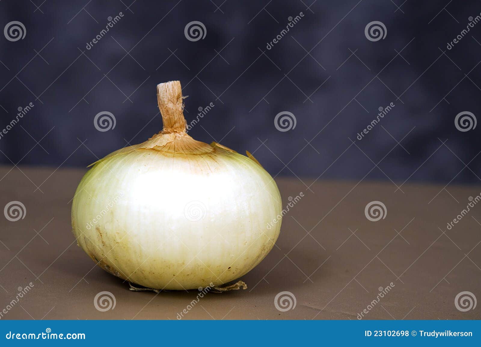 Large White Onion stock photo. Image of peeling, root - 23102698