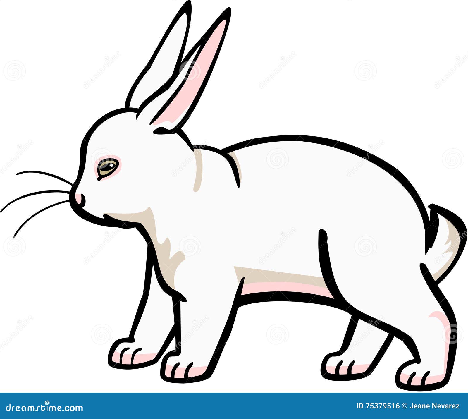 Large White Rabbit stock vector. Illustration of drawing - 75379516