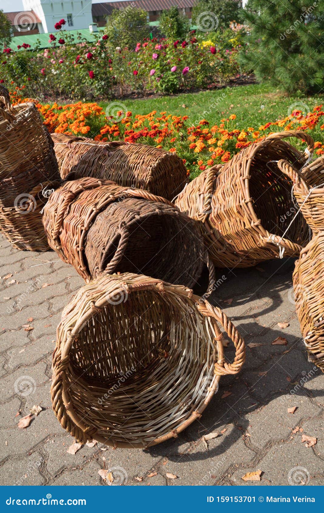 Large Wicker Baskets from Rods Stock Image - Image of fall, fresh ...