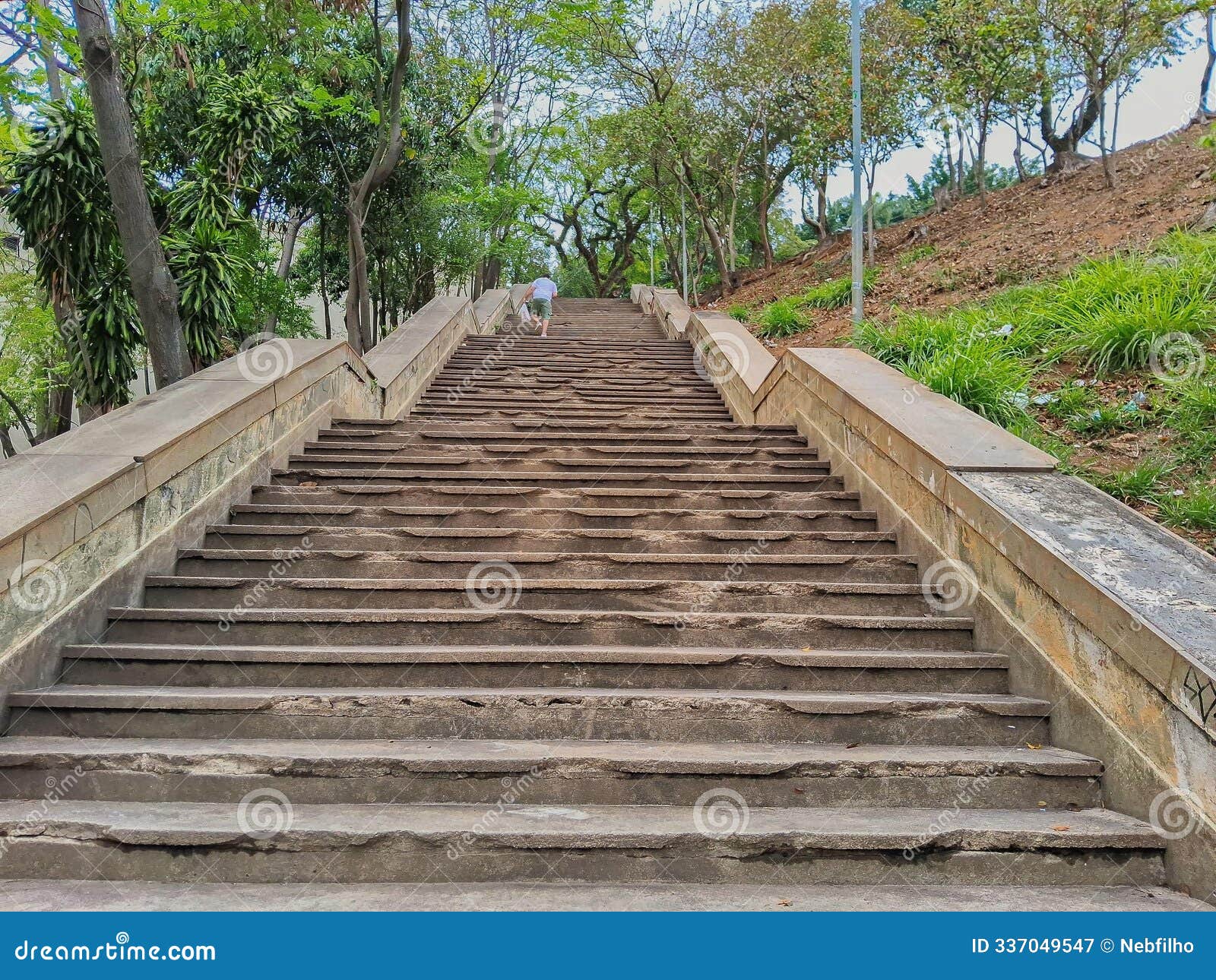 Large and Wide Staircase in a Park. Stock Image - Image of park ...