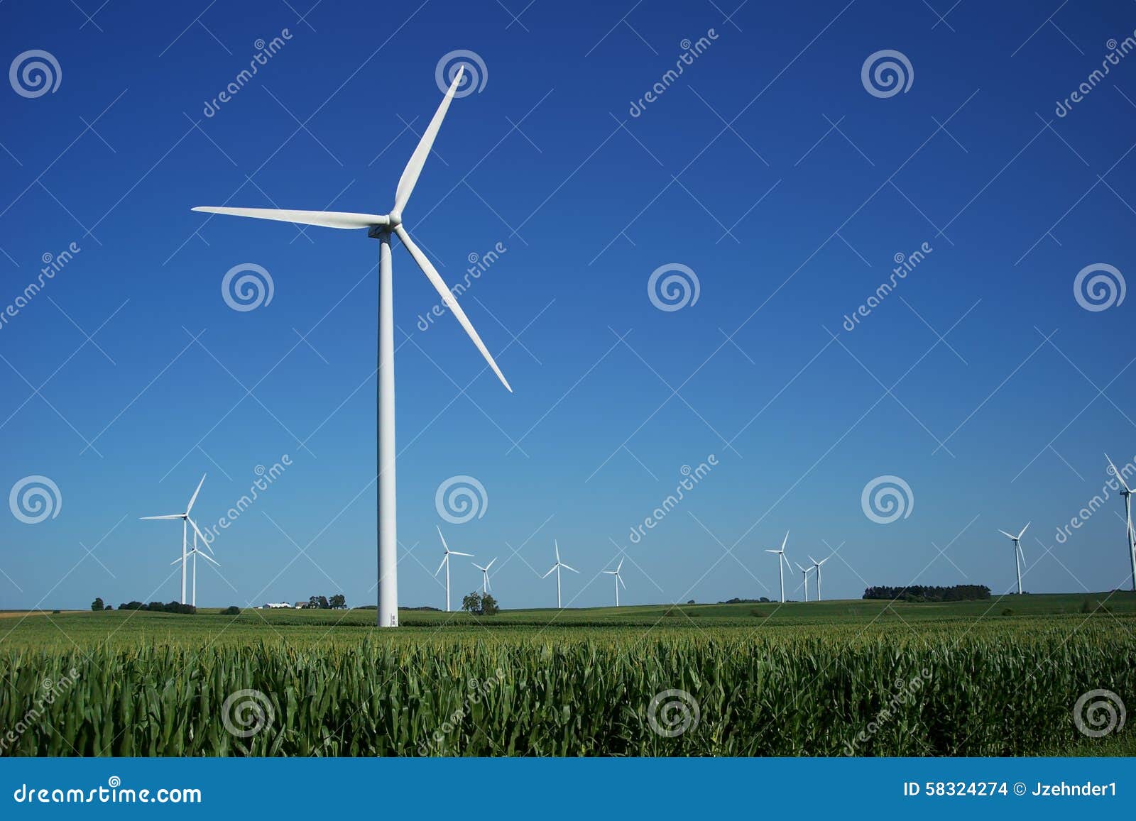 Large Wind Farm in Corn Field Stock Photo - Image of power, megawatt ...