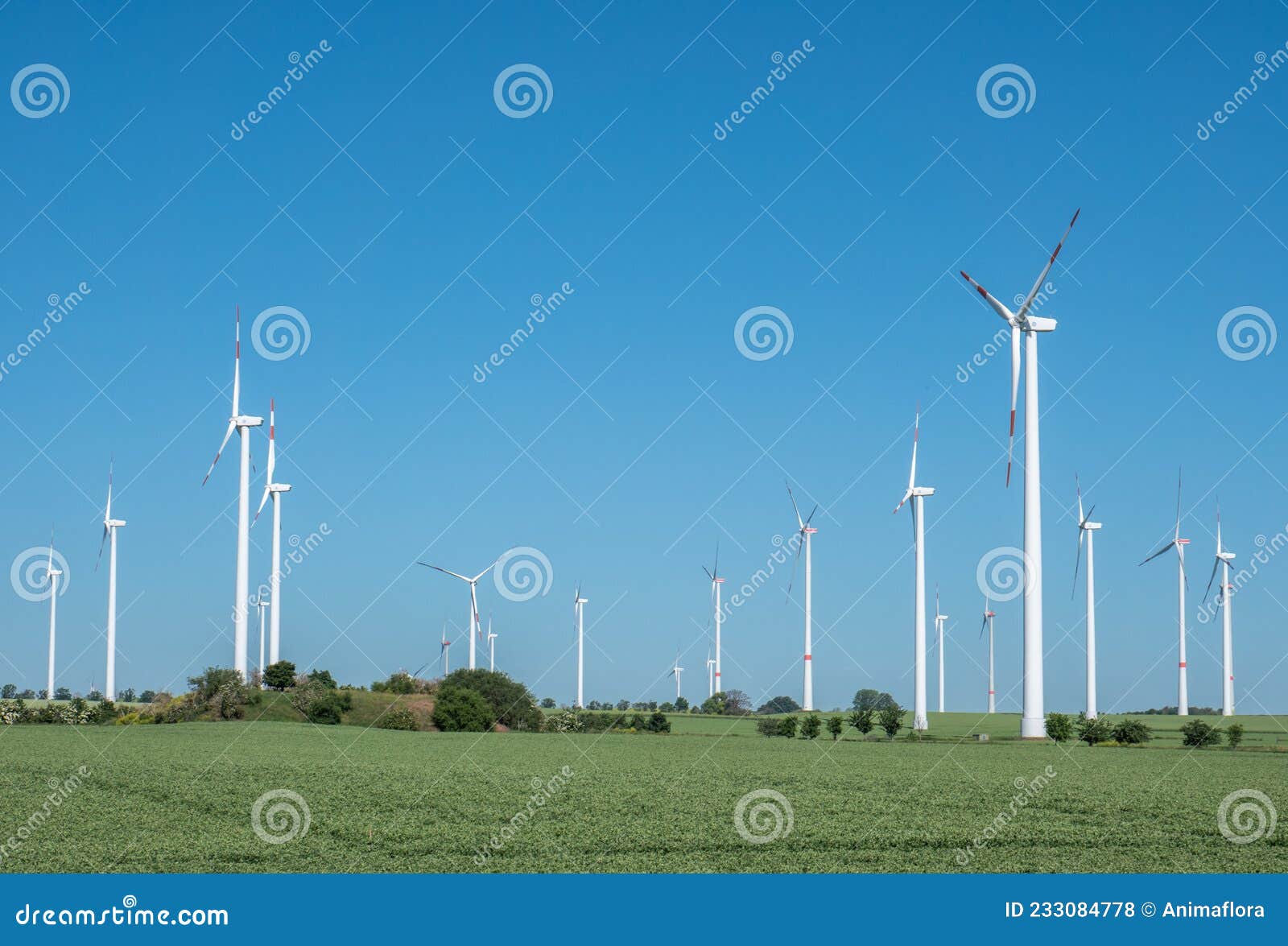 Large wind farm in a field stock photo. Image of energy - 233084778