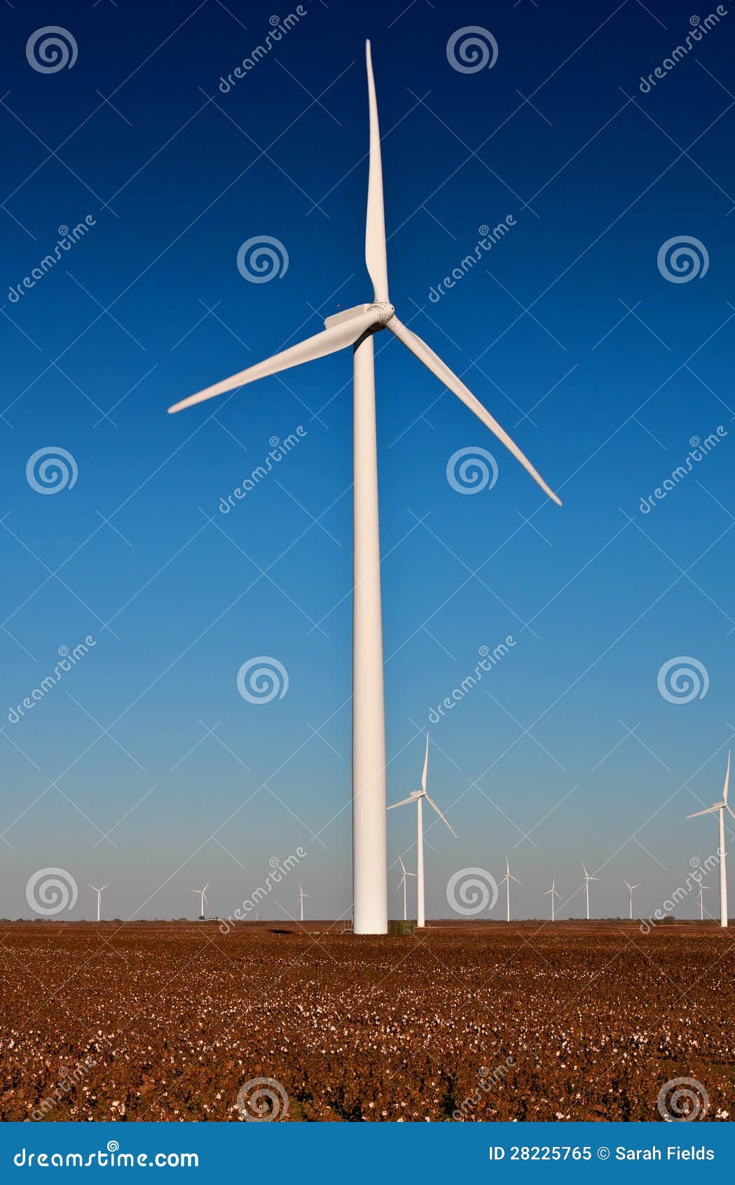 Large Wind Turbine in a Cotton Field Stock Image - Image of field ...
