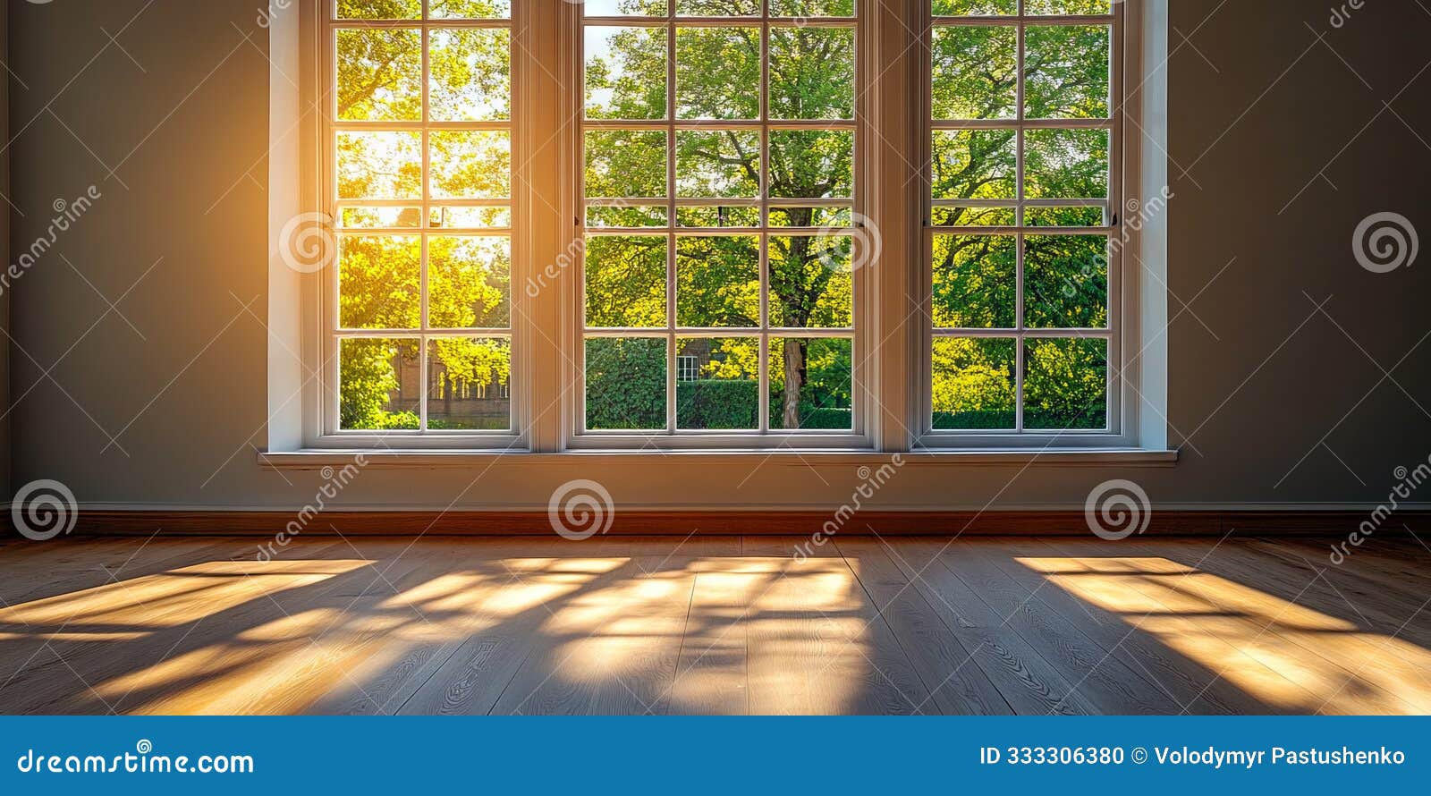 A Large Window in an Empty Room with a View of Trees Outside Stock ...